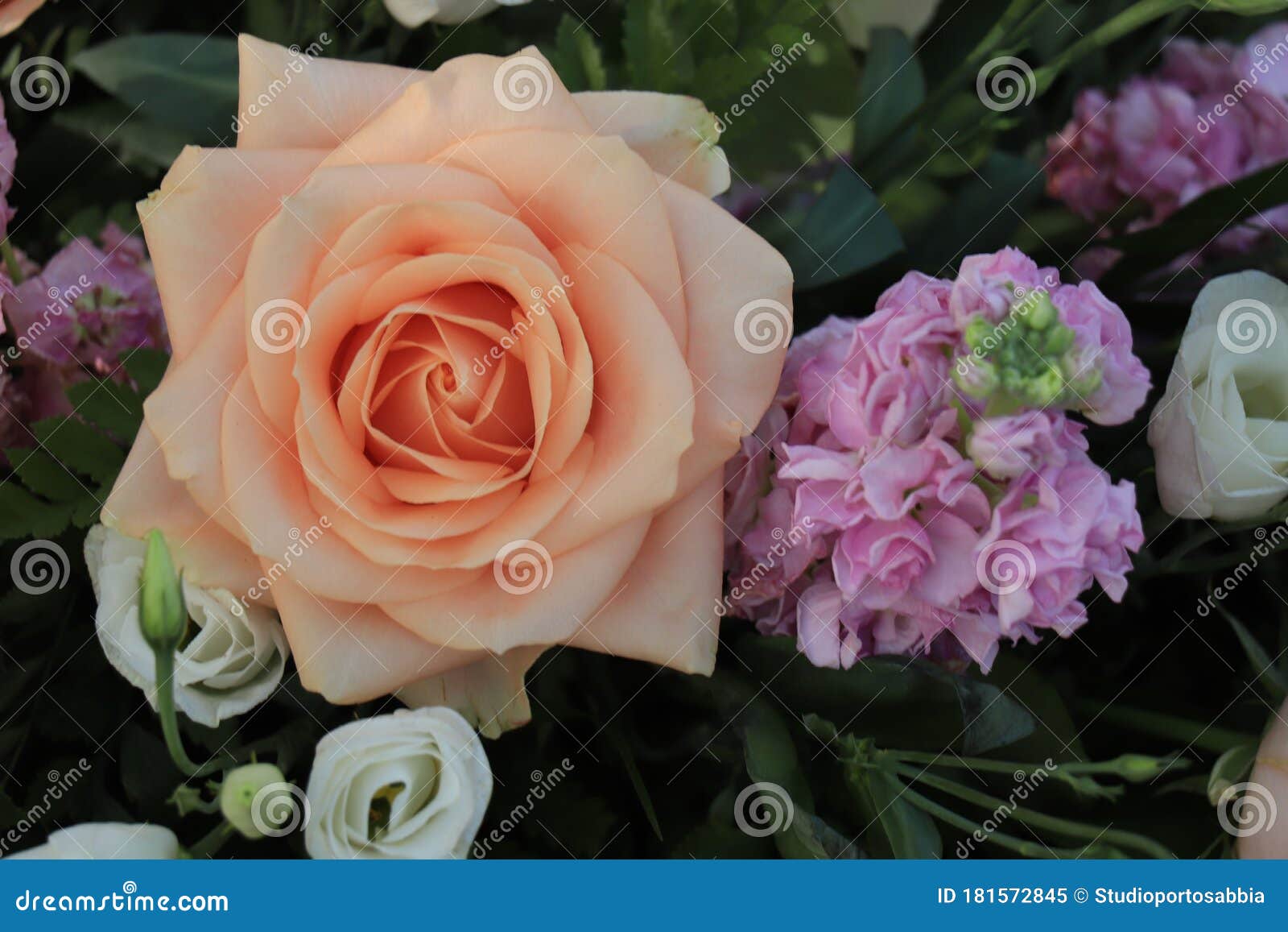 Peach colored roses stock image. Image of bride, marriage - 181572845
