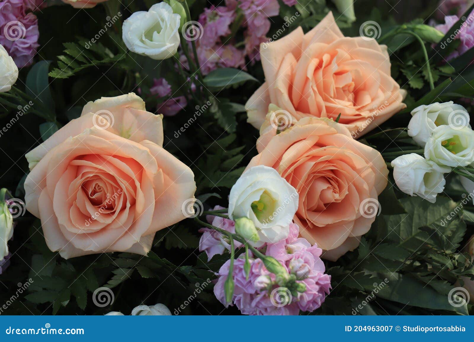 Peach colored roses stock image. Image of pink, arrangement - 204963007