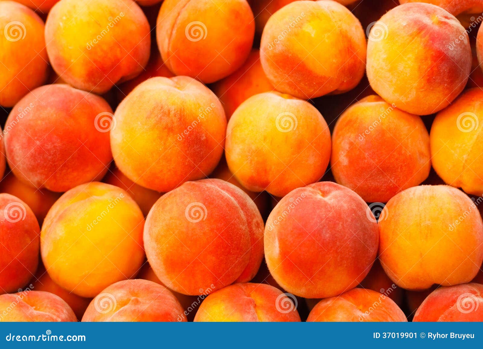 Peach Fruit Background stock image. Image of collection - 37019901