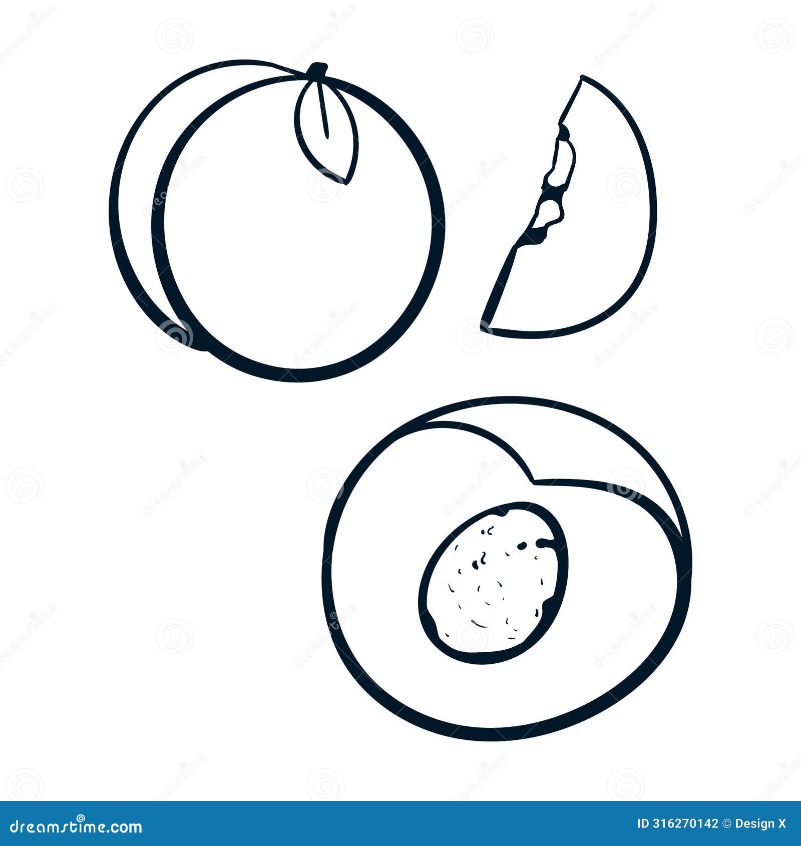 Peach Fruit Drawing Set Vector Peach Scribbles Doodle Icons. Peach ...
