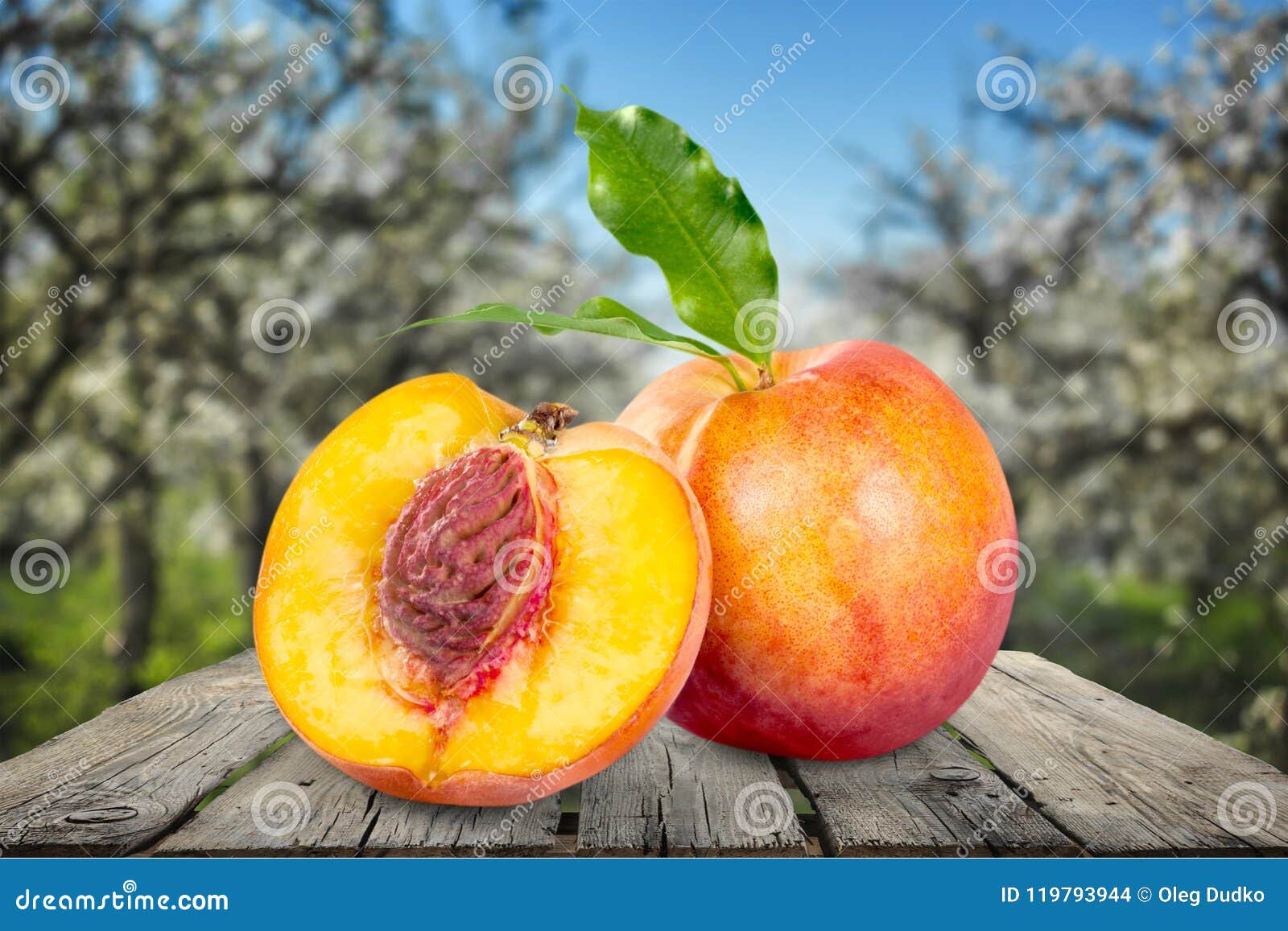Peach stock photo. Image of objects, orange, dessert - 119793944