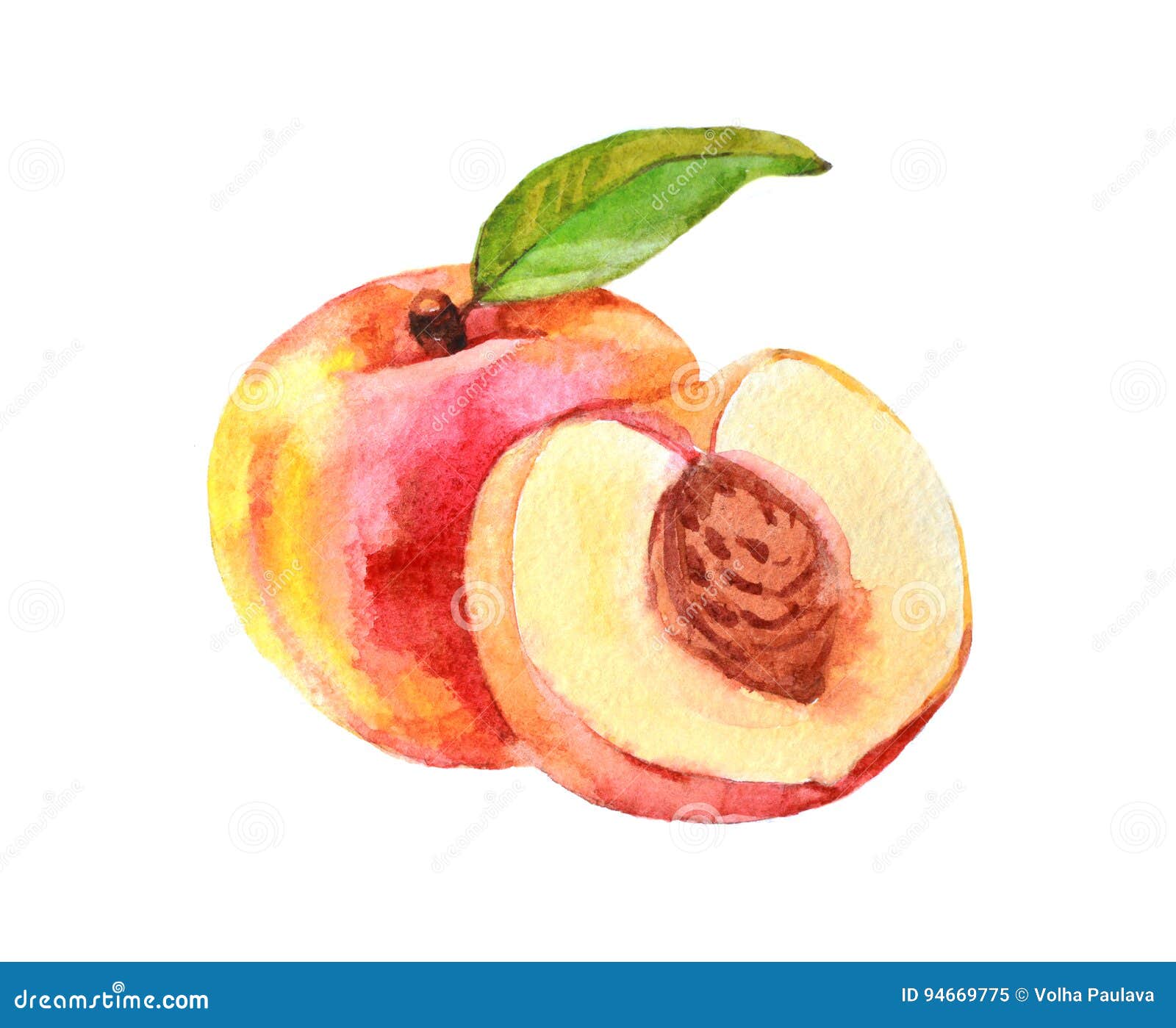 Peach Watercolor Background, Pastel Watercolor Logo. Cartoon Vector ...