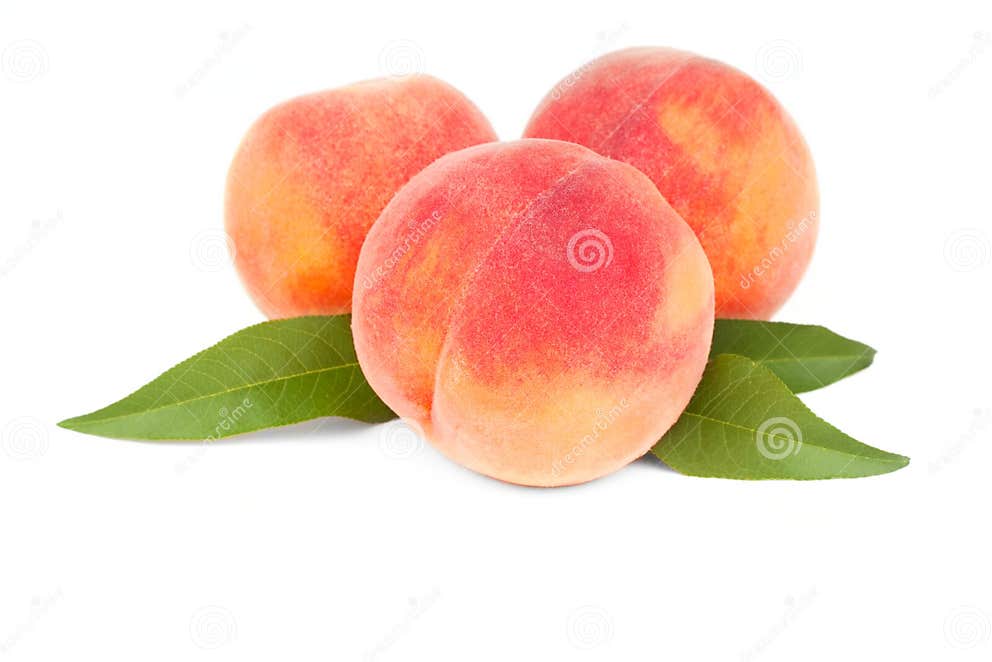 Peach fruits stock image. Image of nutrition, harvest - 28702687