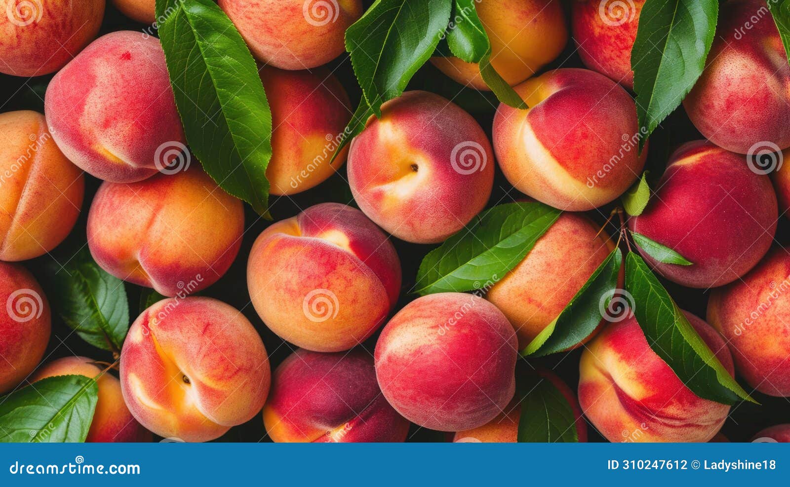 Peach Fruits Layout, Close Up, Top View. Stock Photo - Image of ...