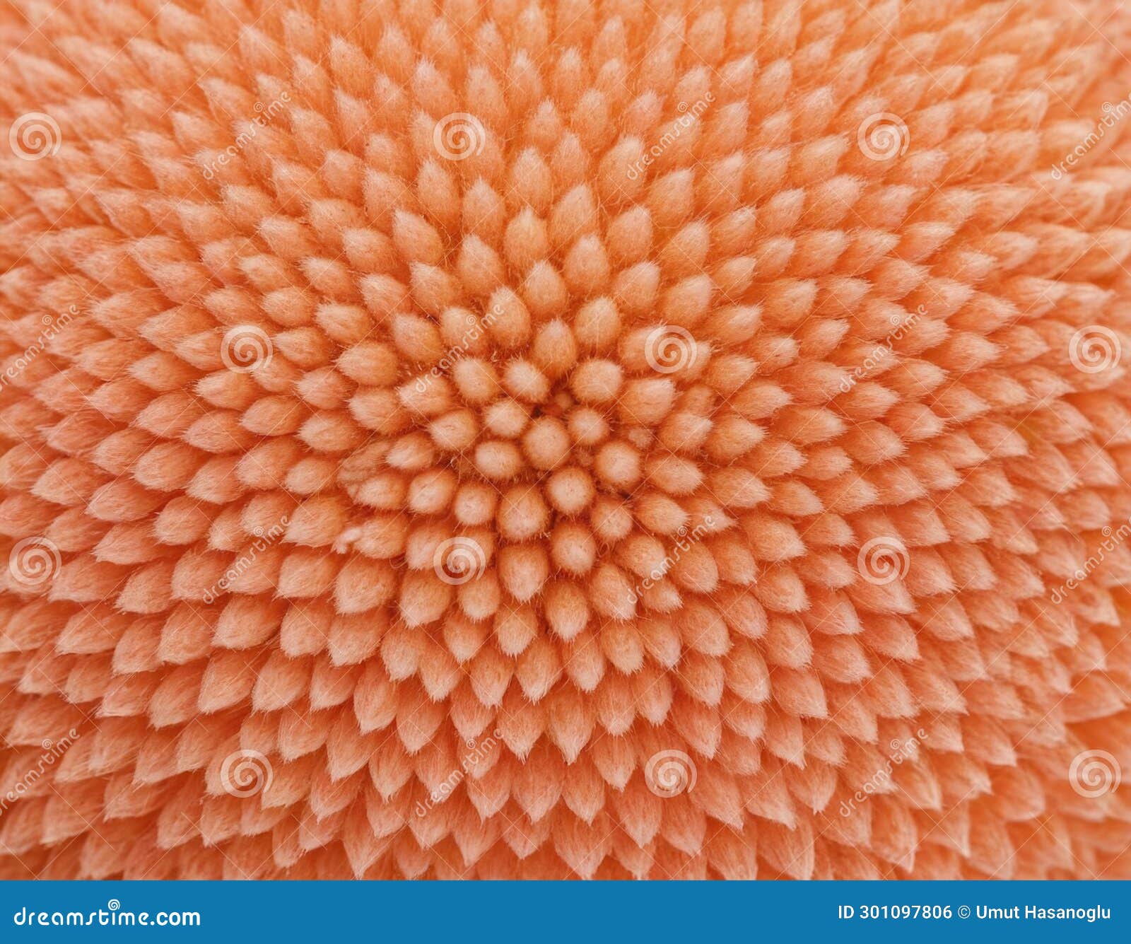 Peach fuzz texture design stock illustration. Illustration of texture ...