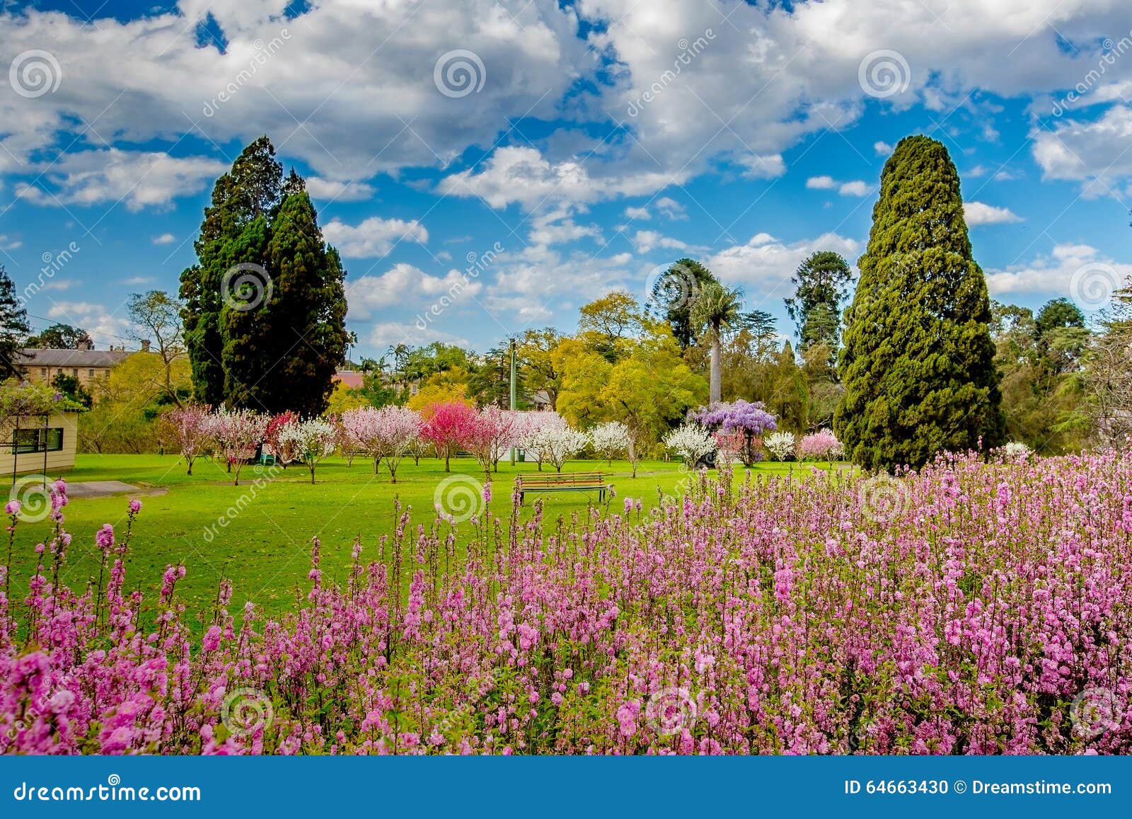 The peach garden stock photo. Image of clouds, nature - 64663430