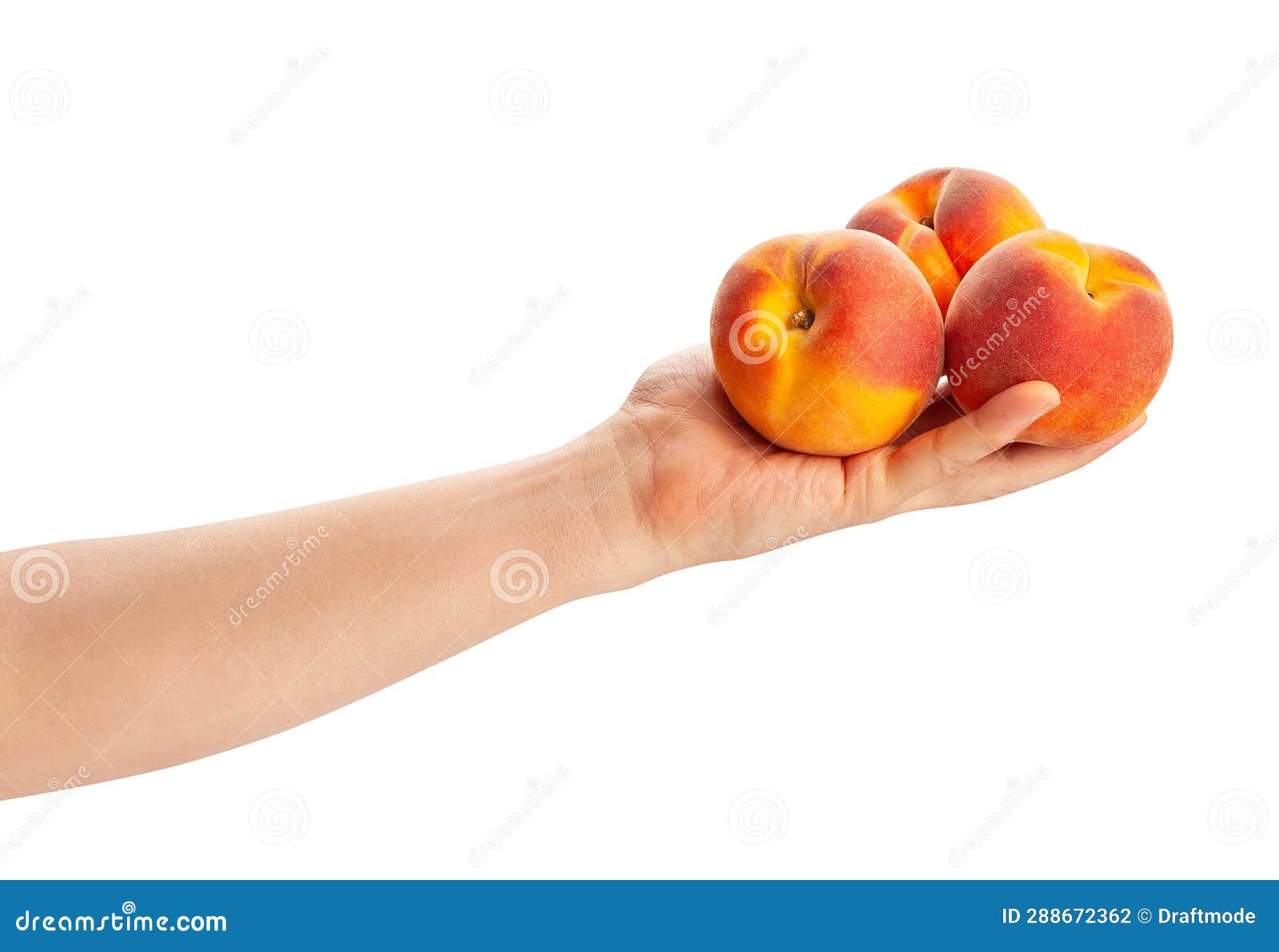 Peach in hand stock photo. Image of three, ingredient - 288672362