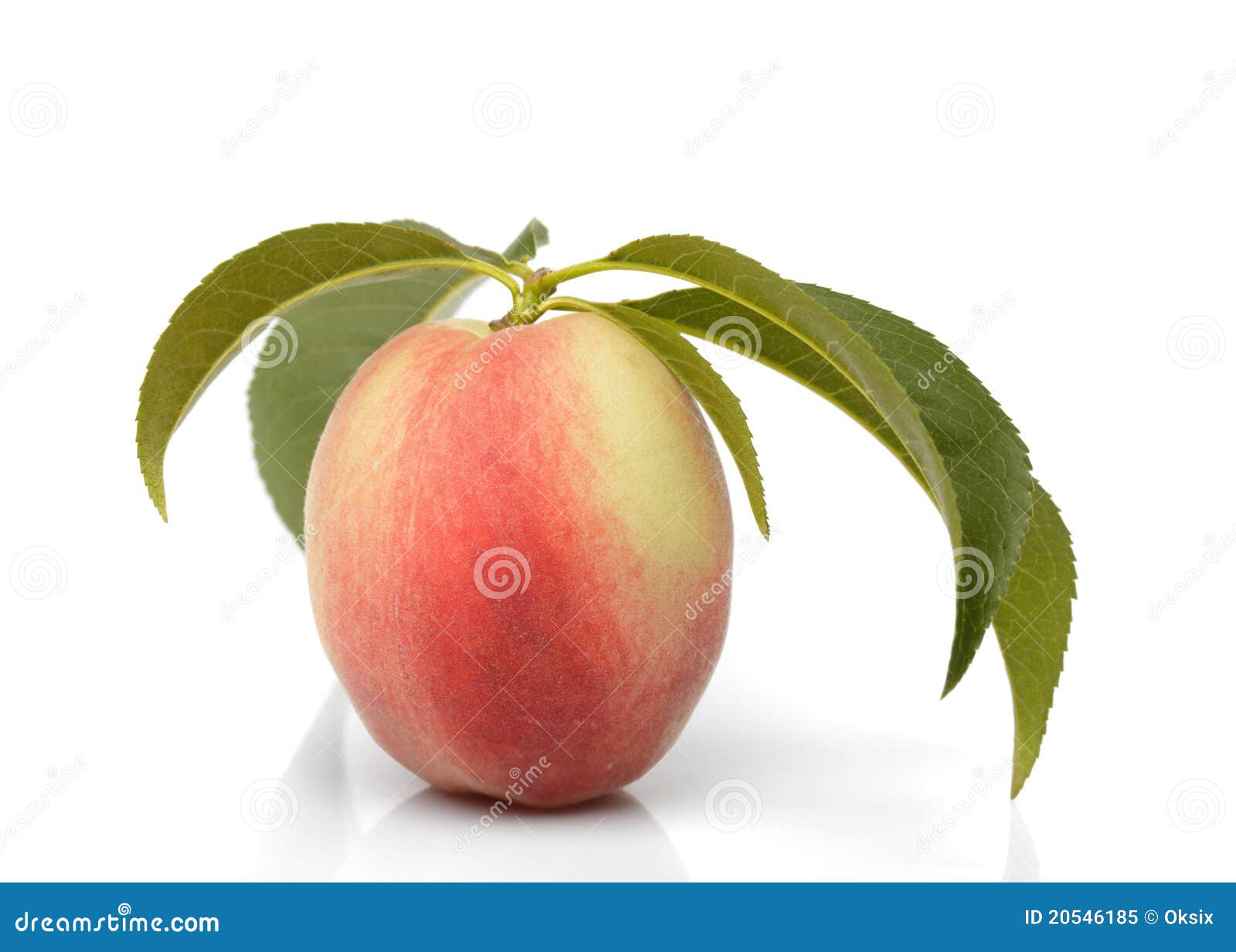 Peach isolated stock image. Image of food, green, natural - 20546185