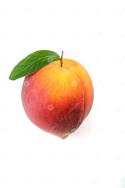Peach Isolated stock photo. Image of sweet, peach, juice - 4203138