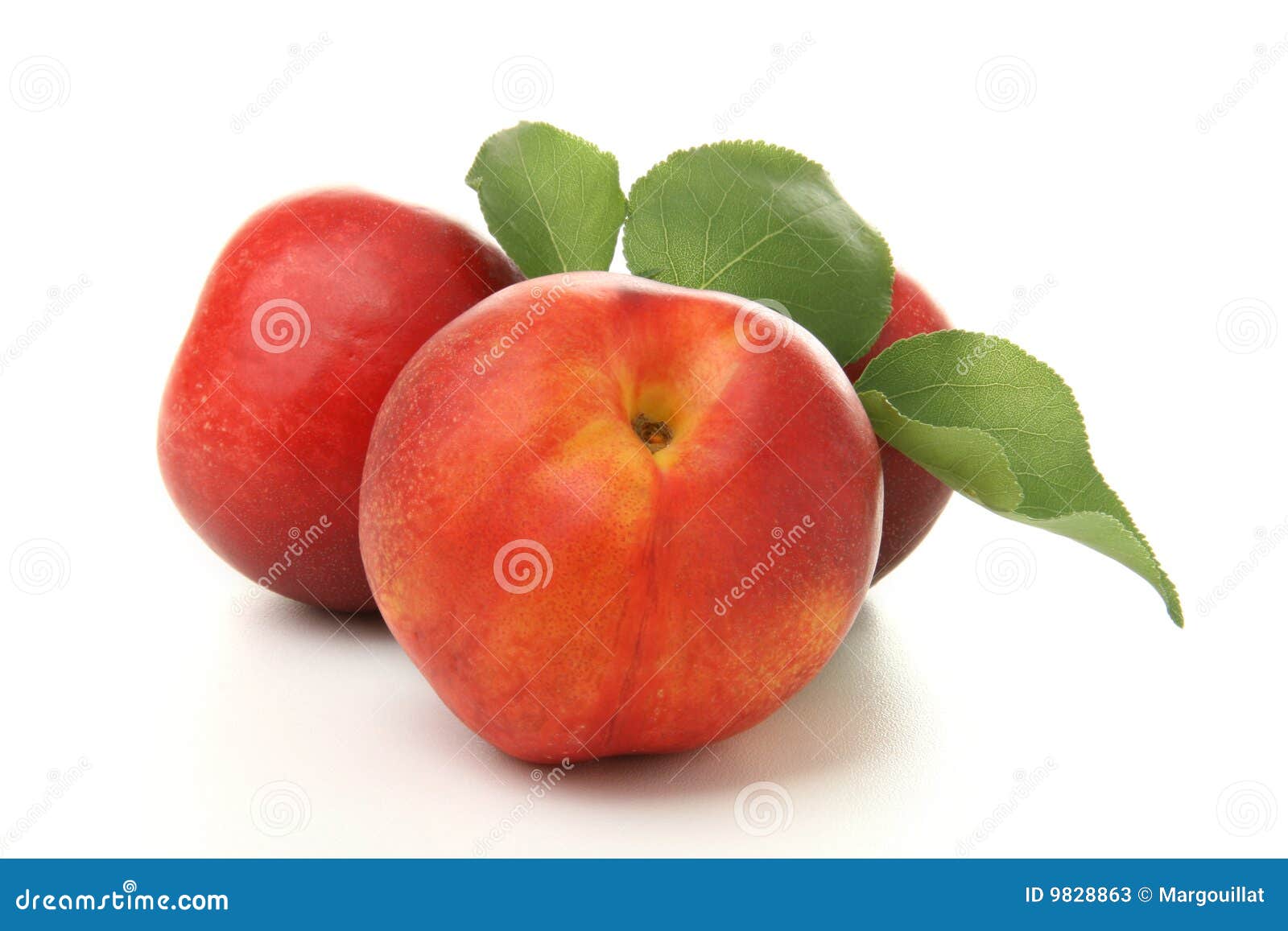 Peach isolated stock image. Image of agriculture, close - 9828863