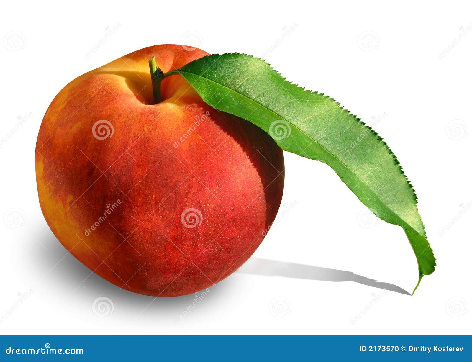 Peach with Leaf 2 stock photo. Image of fresh, excellent - 2173570