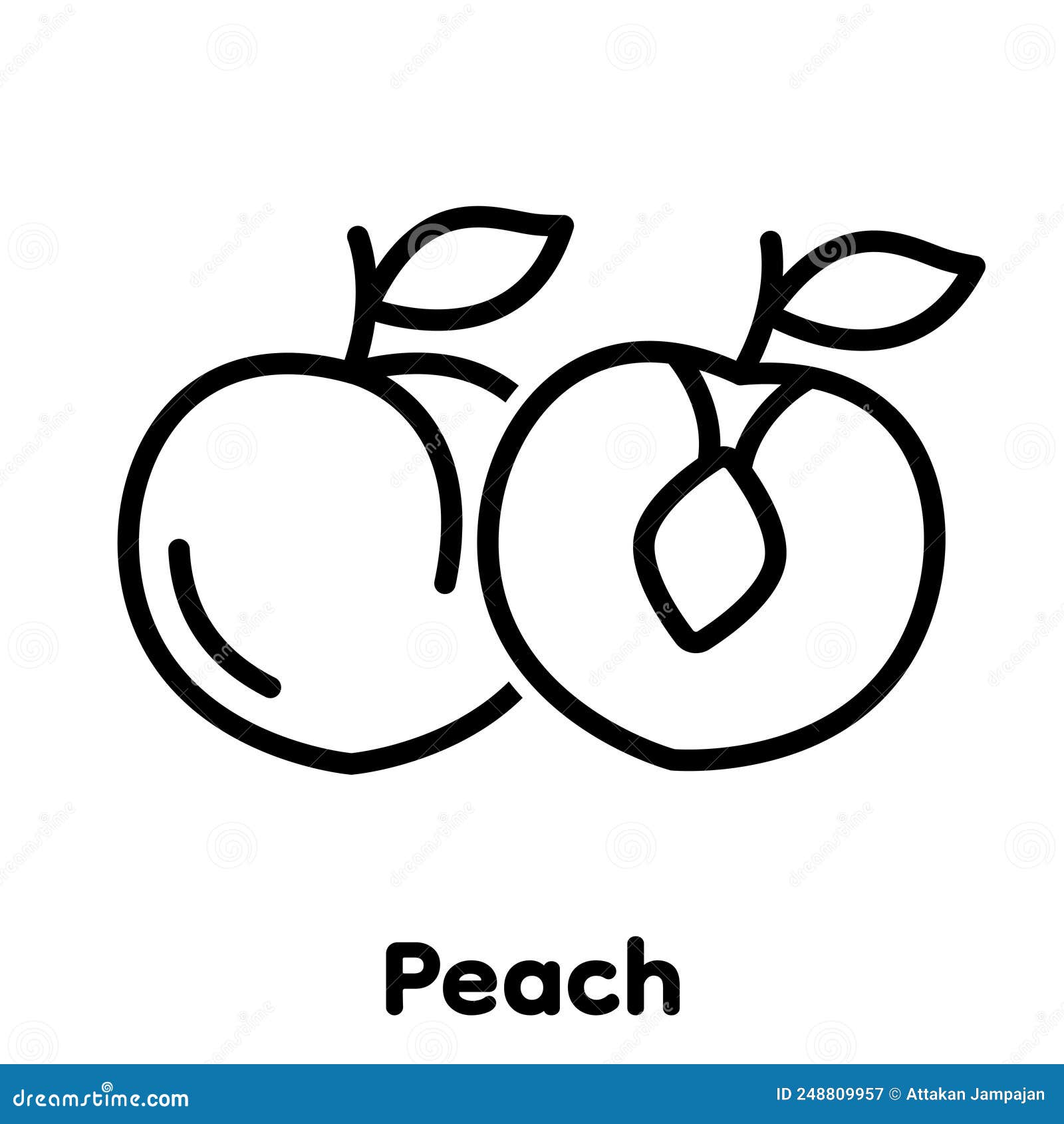 Peach Linear Icon, Vector, Illustration. Stock Vector - Illustration of ...
