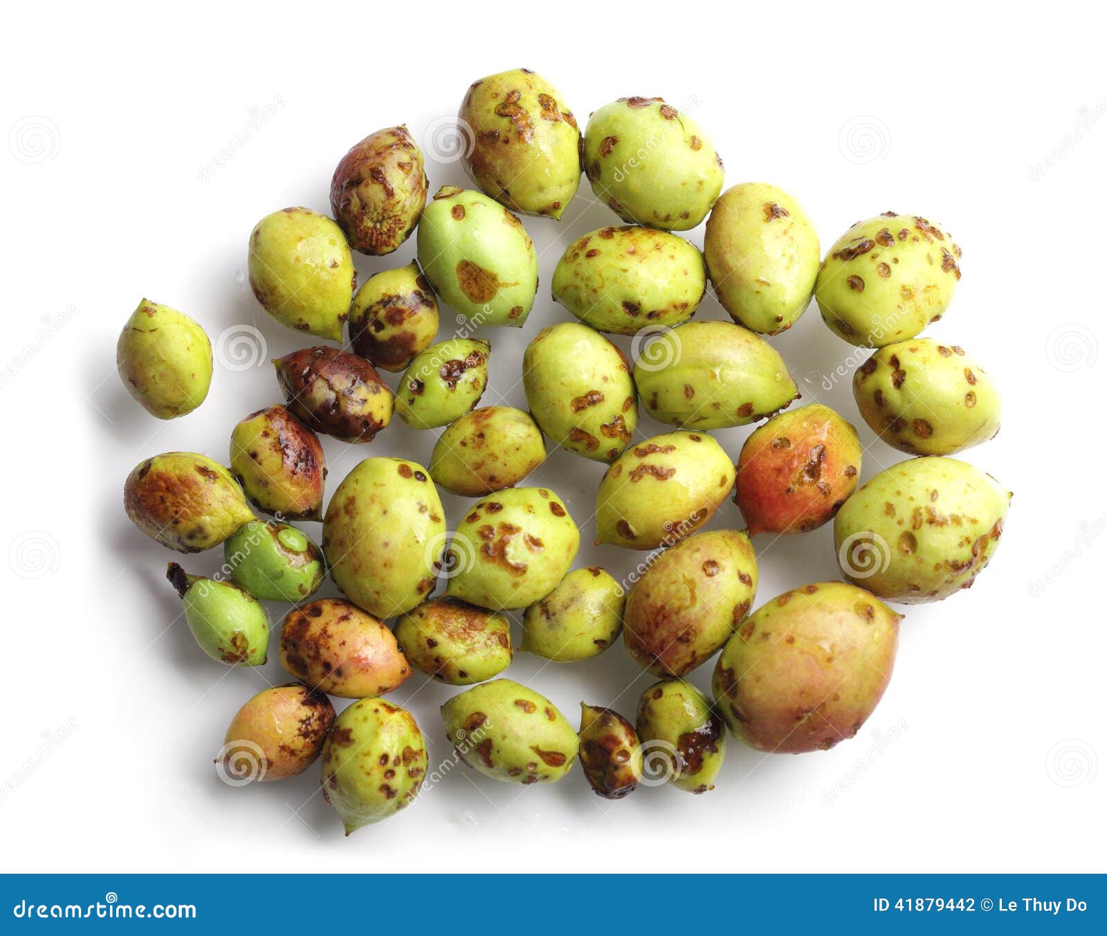 Peach Nectarine stock photo. Image of destruction, fresh - 41879442