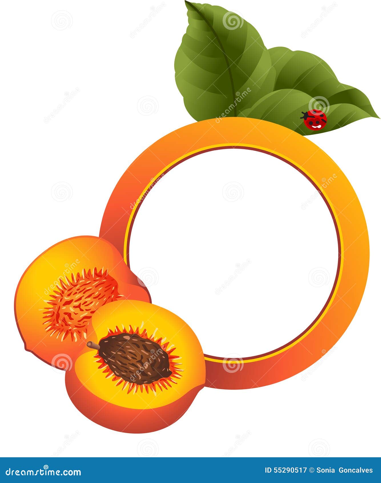 Peach Photo Frame stock vector. Illustration of frame - 55290517