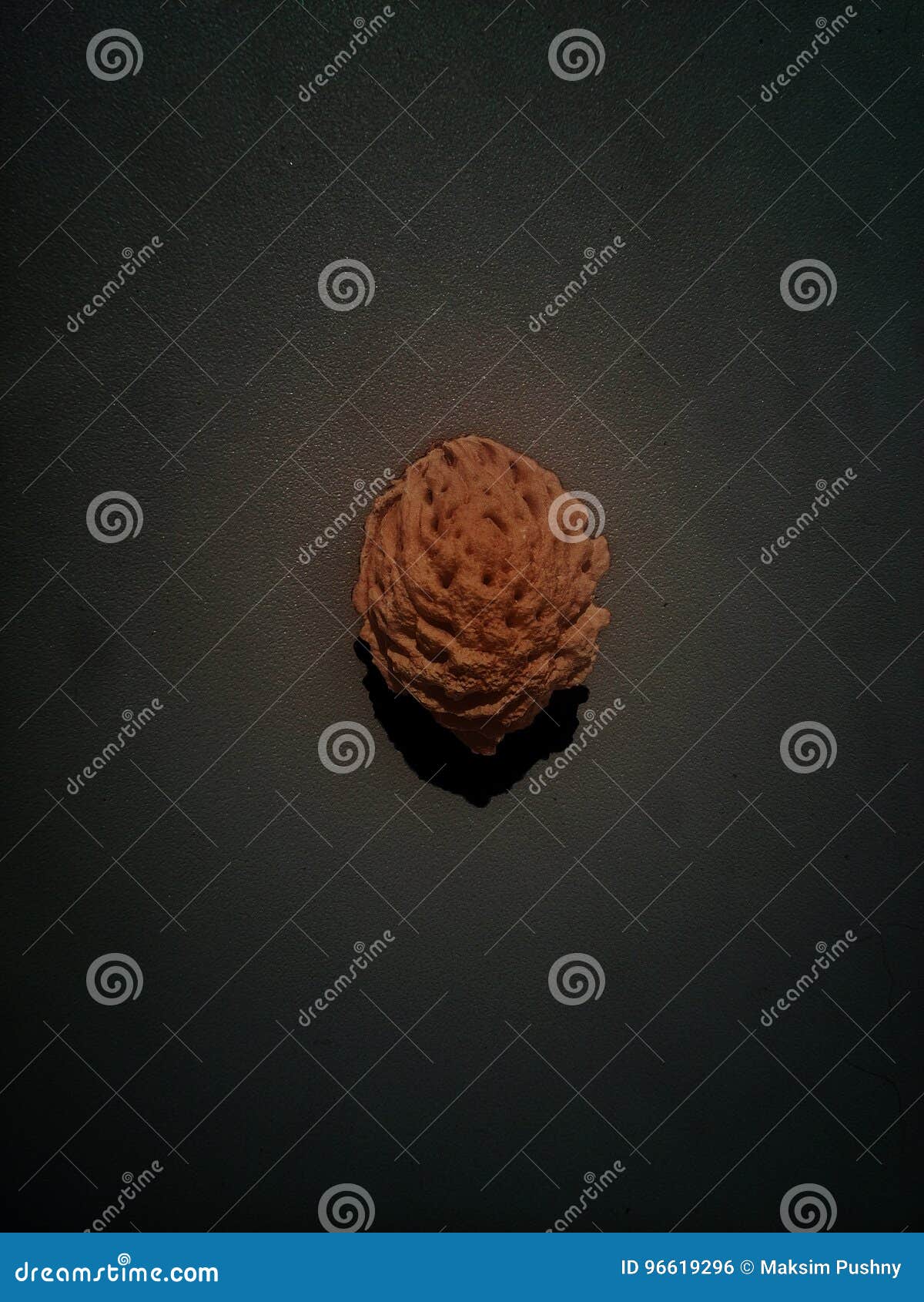 A Peach Pit on a Black Background Stock Photo - Image of tasty, seed ...