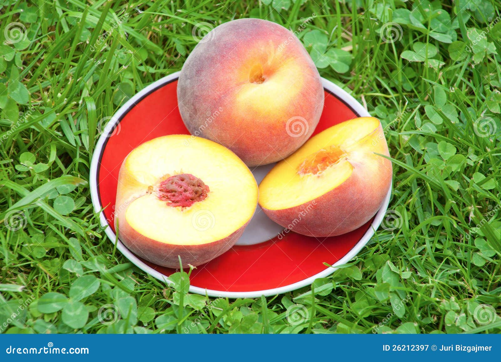 Peach in plate on grass stock image. Image of harvest - 26212397