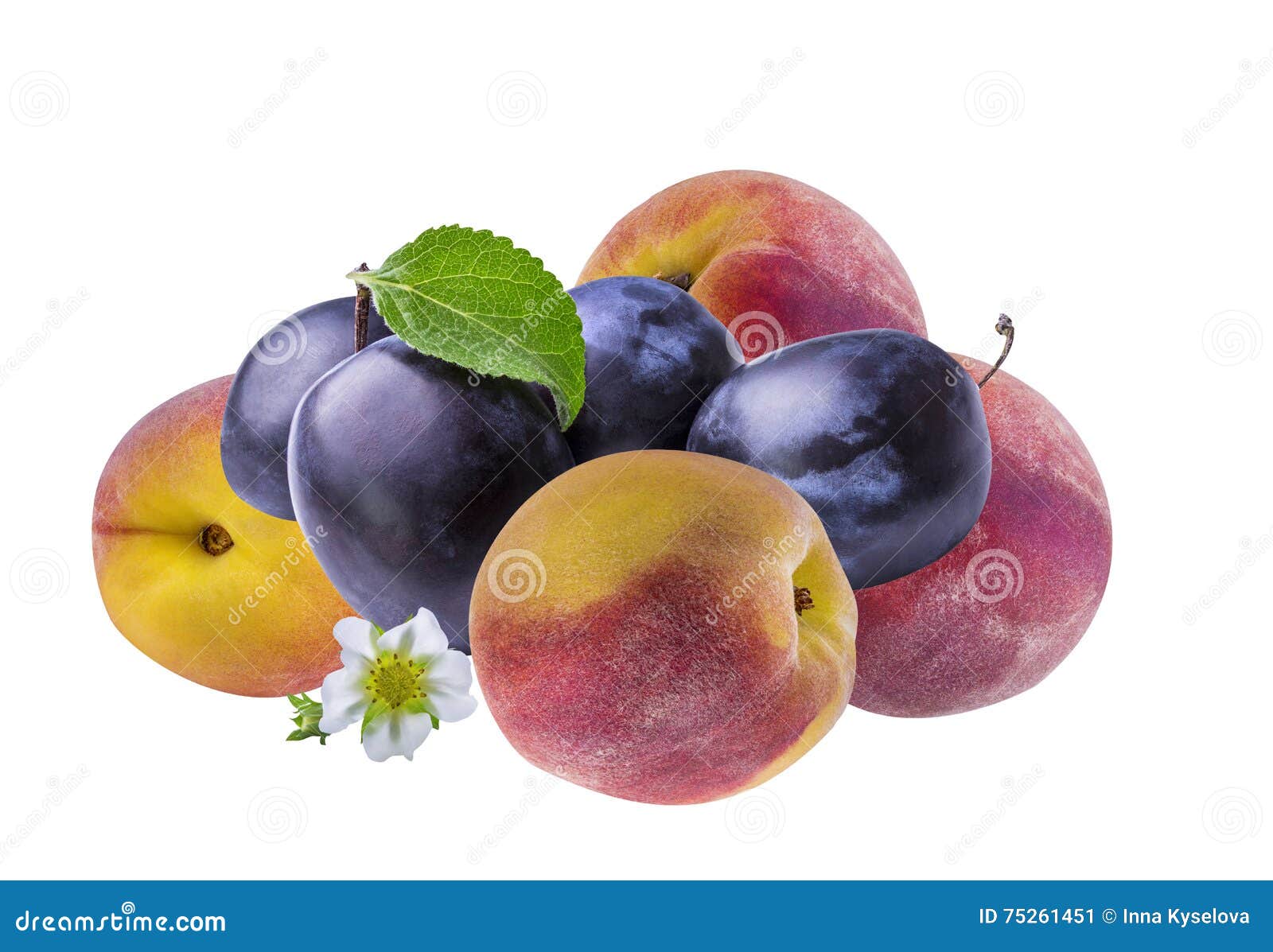 Peach and Plum Isolated on White Stock Image - Image of white, sweet ...