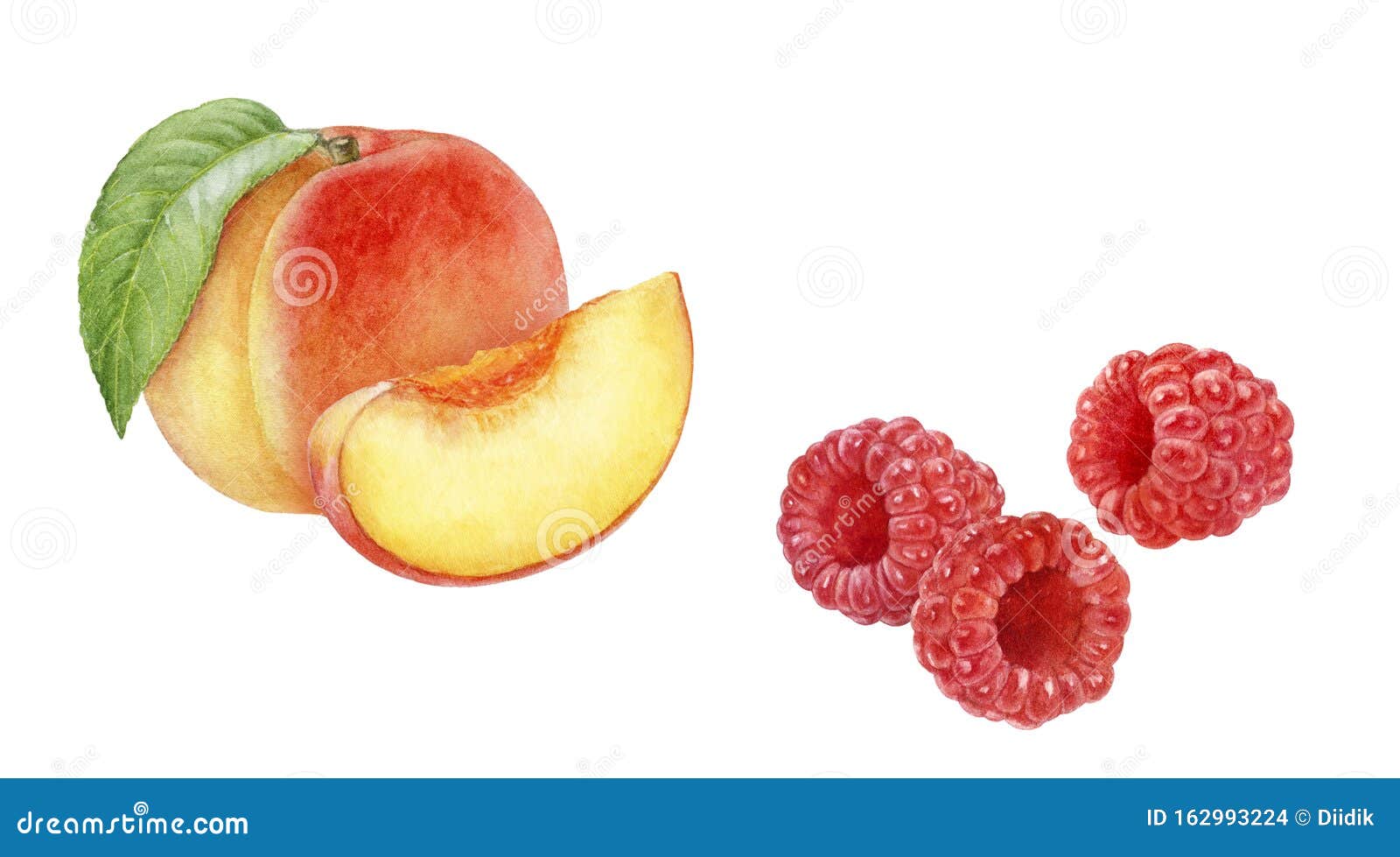 Peach Raspberry Set Watercolor Isolated on White Background Stock Photo ...
