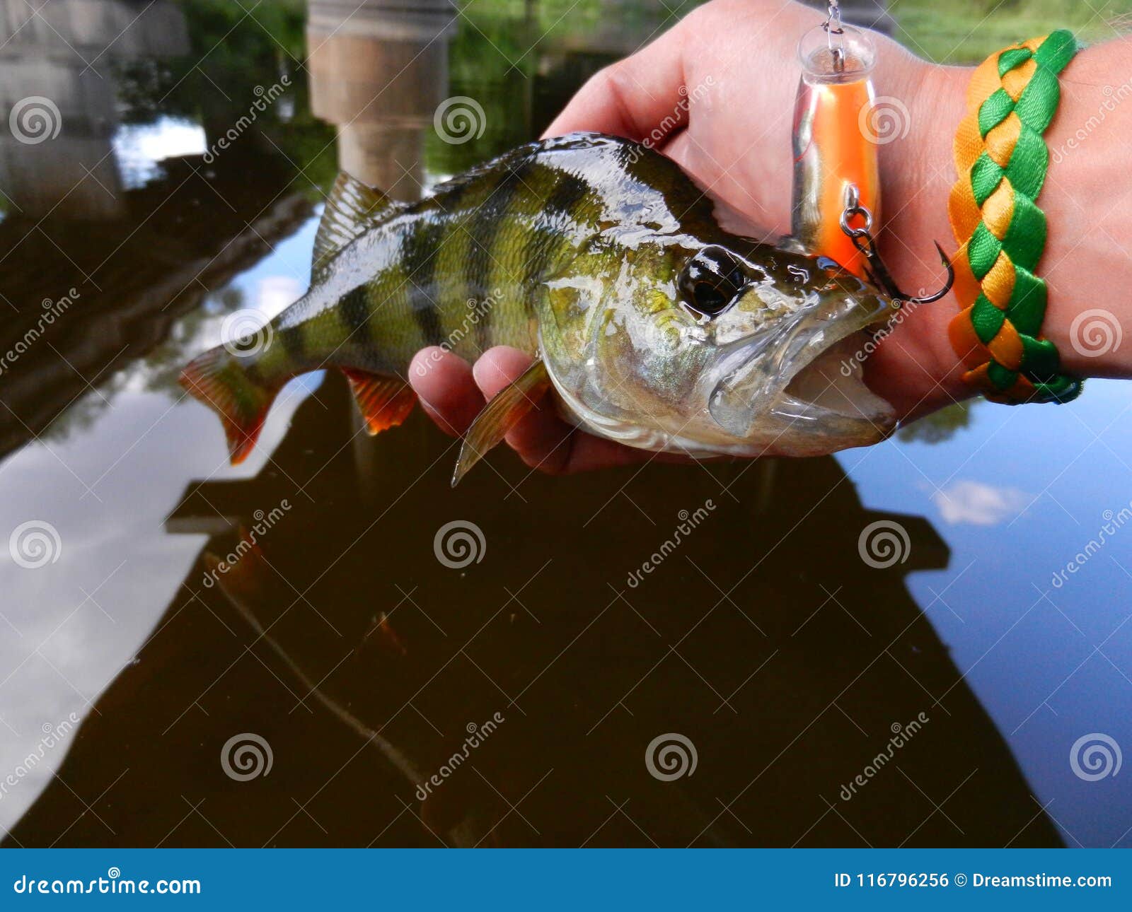 Peach on the river stock photo. Image of colorful, storm - 116796256