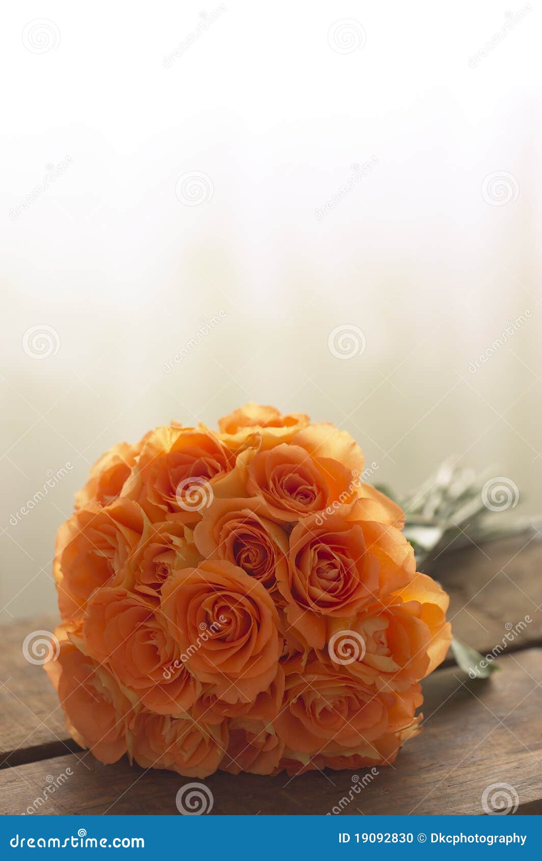 Peach Rose Bouquet stock photo. Image of bunch, peach - 19092830