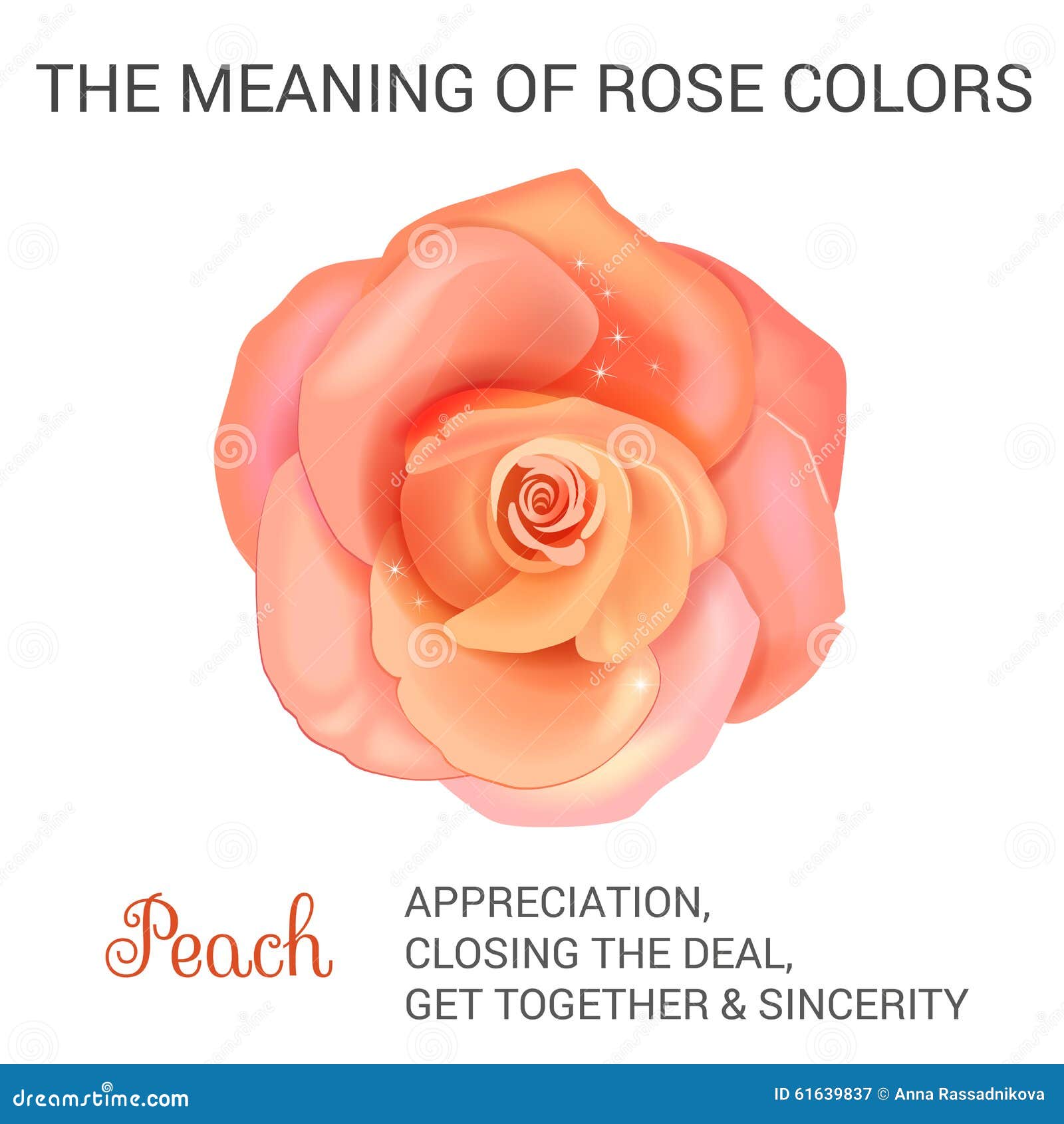 Peach Rose And Pearls Wedding Invitation Royalty-Free Cartoon ...