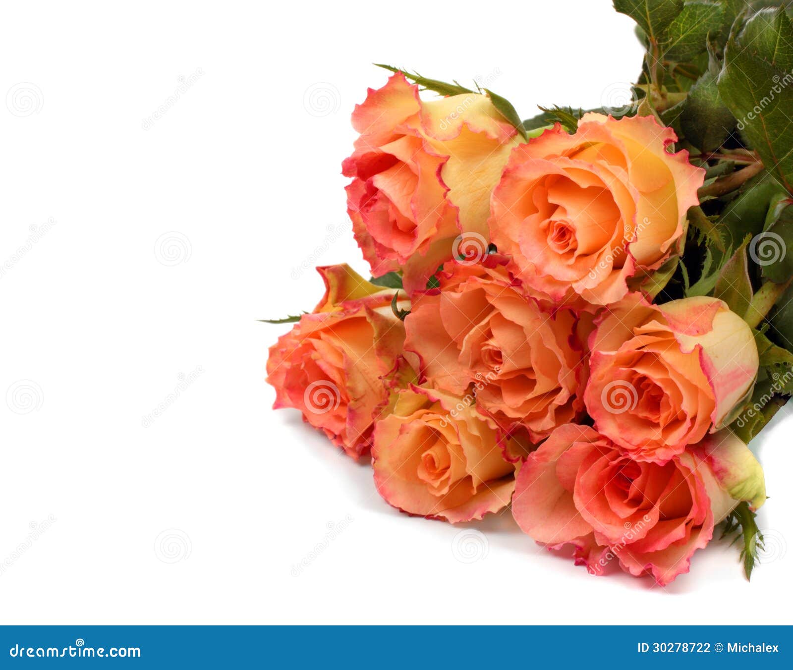 Peach Roses Bouquet Stock Photography - Image: 30278722