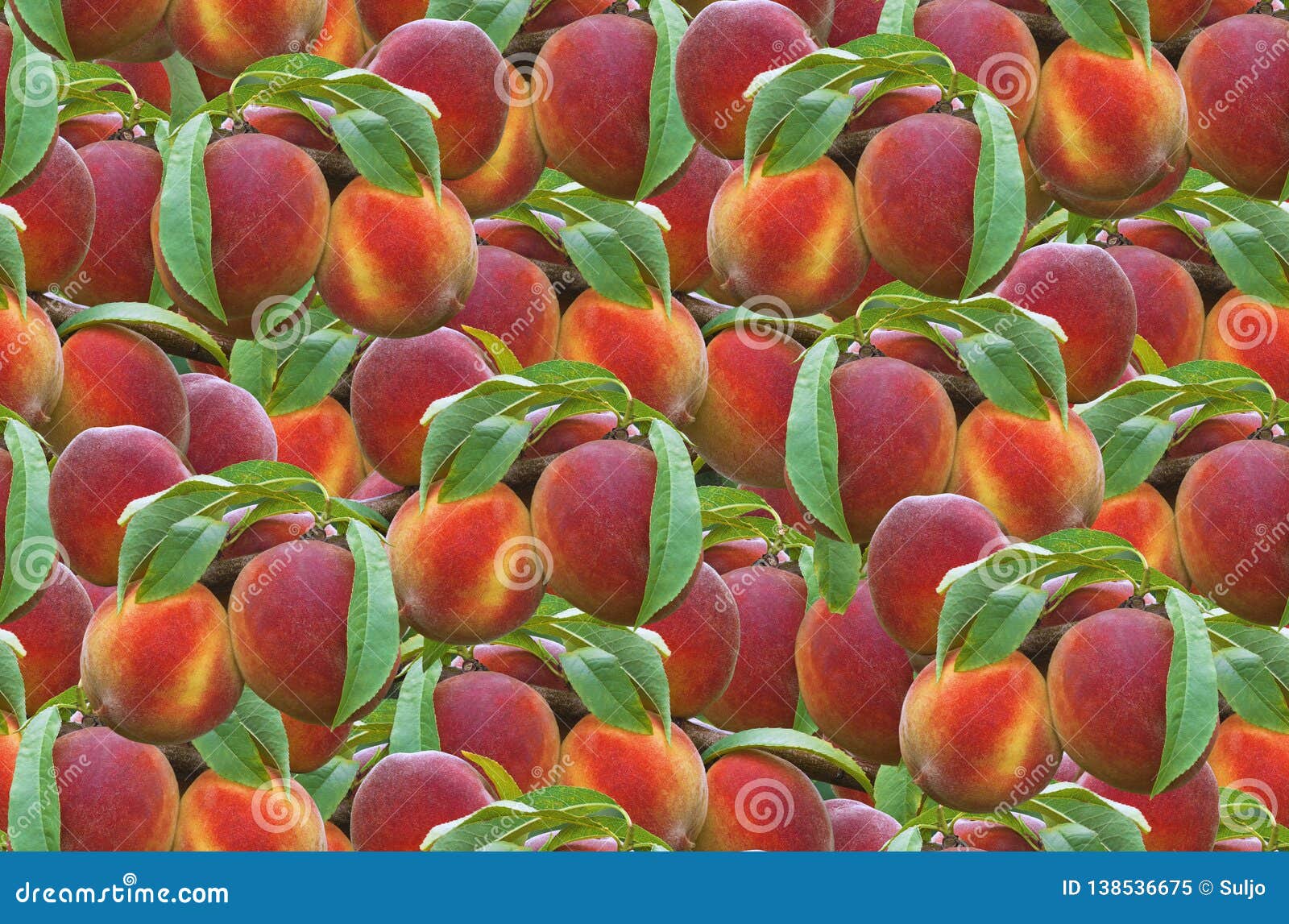 Peach Seamless Pattern stock illustration. Illustration of growing ...