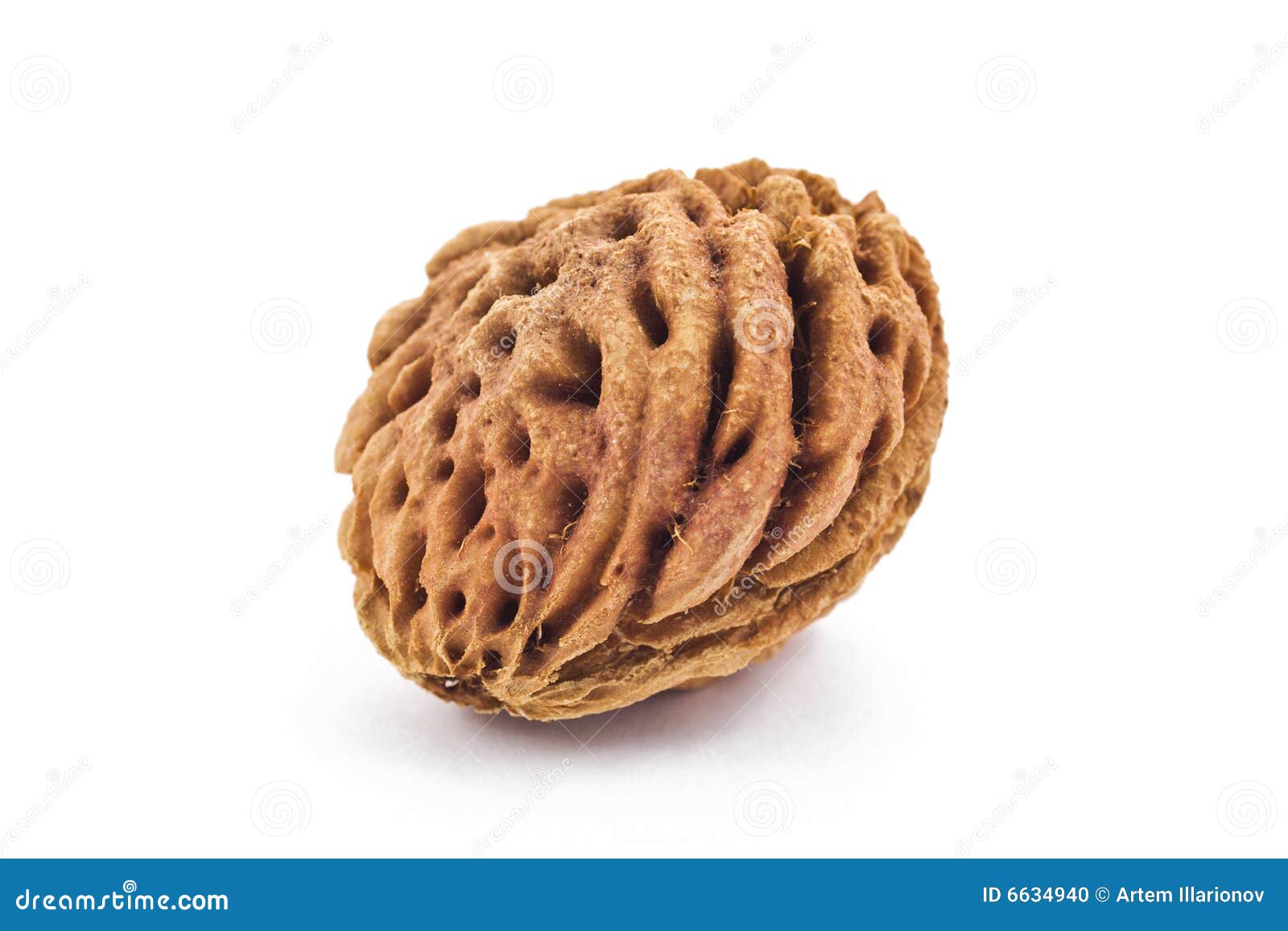 Peach stone stock photo. Image of clingstone, greengrocery - 6634940