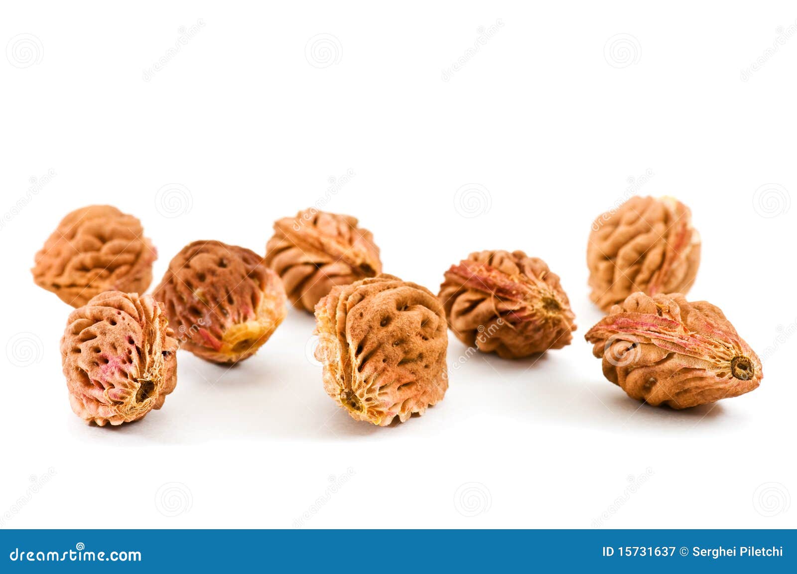 Peach stones. stock image. Image of group, closeup, food - 15731637