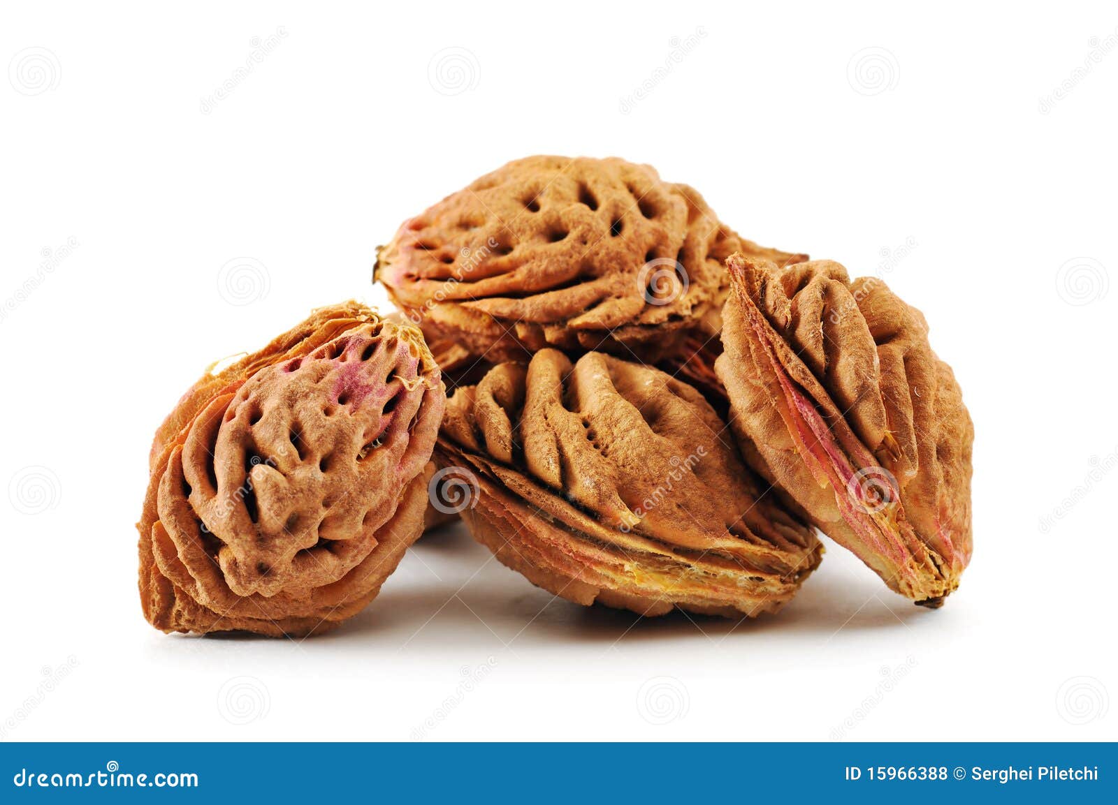 Peach stones. stock photo. Image of refreshment, fruit - 15966388