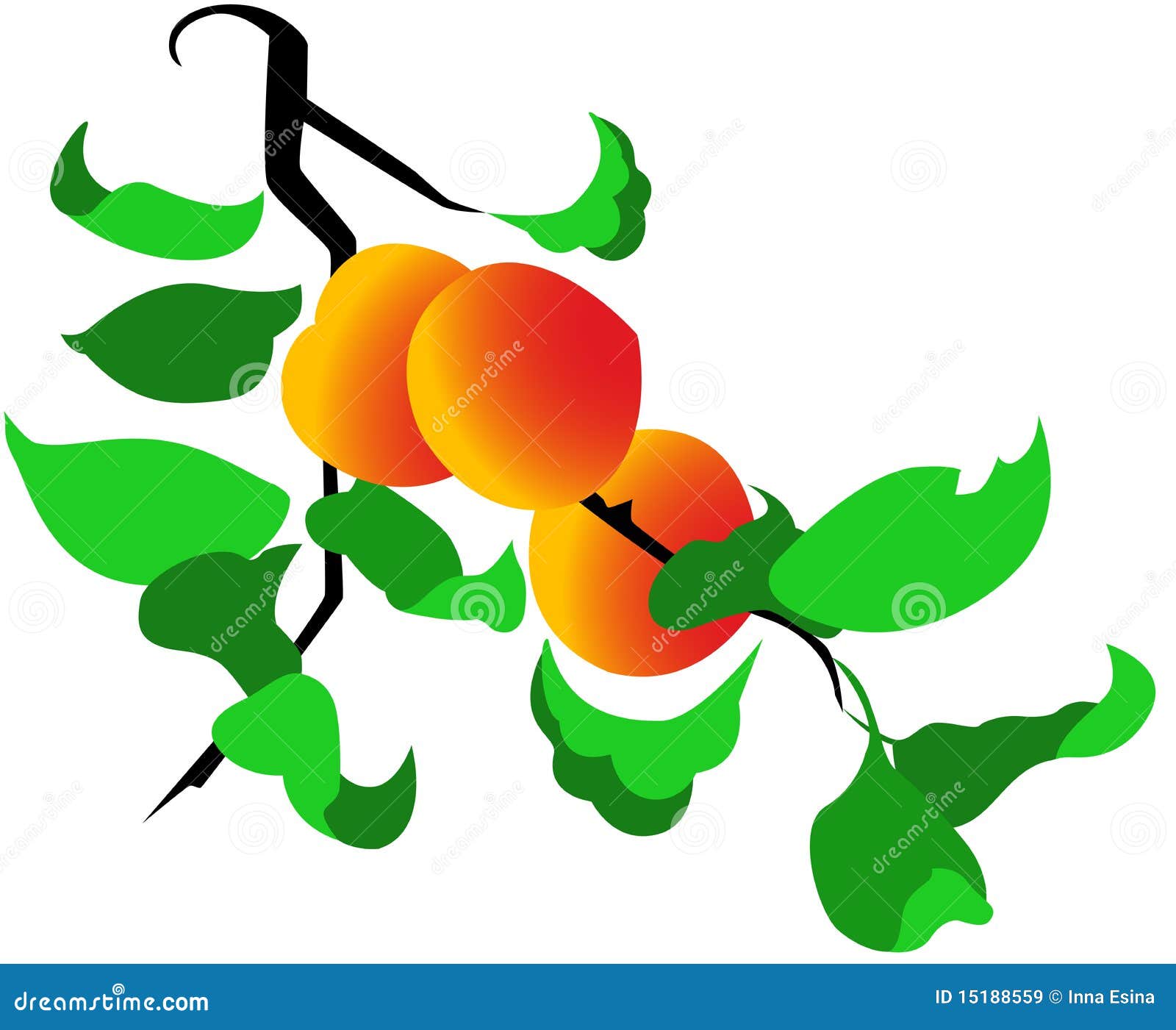 Peach Tree Vector Illustration In Flat Design Isolated On White ...