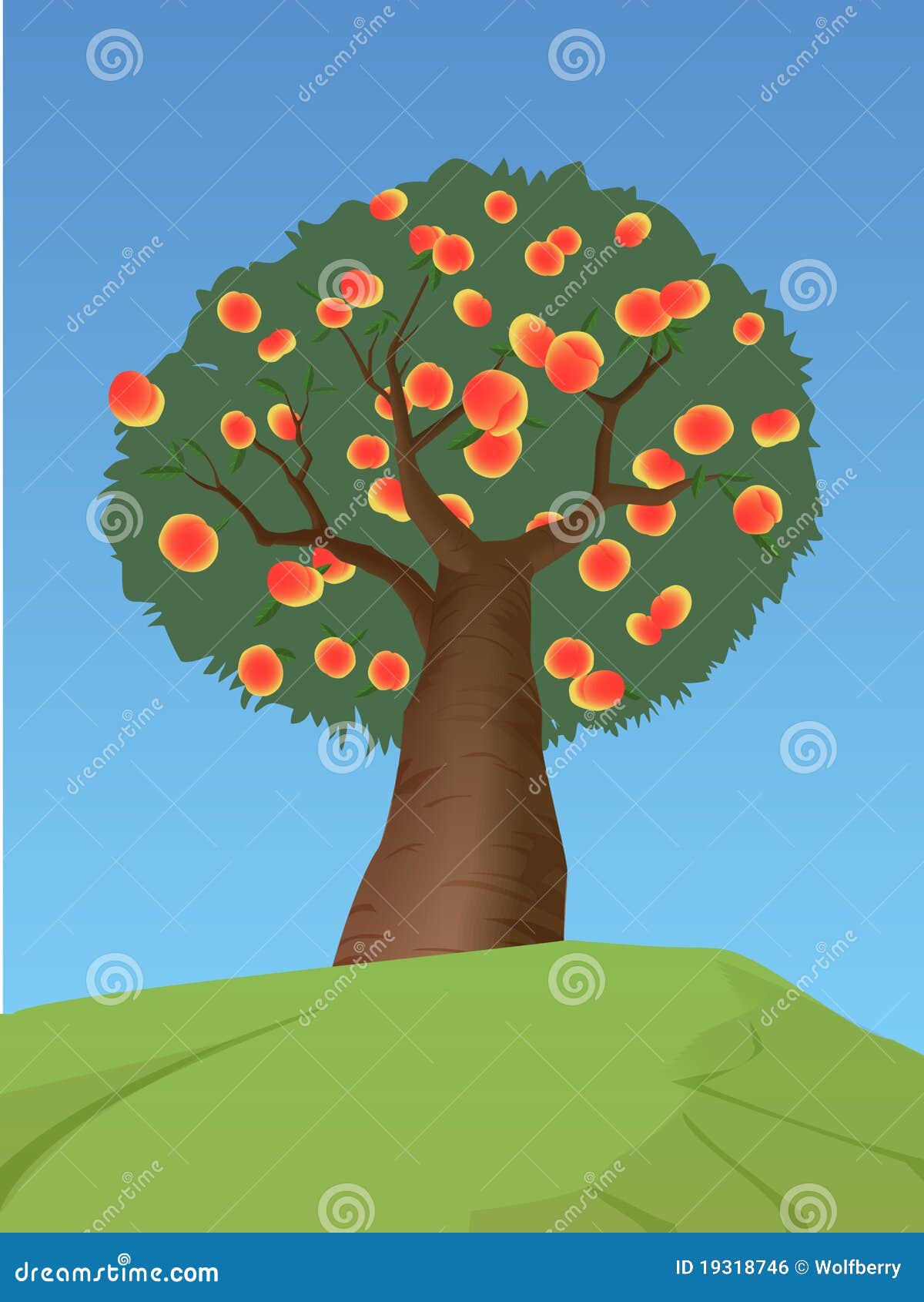 Peach Tree Vector Illustration In Flat Design Isolated On White ...