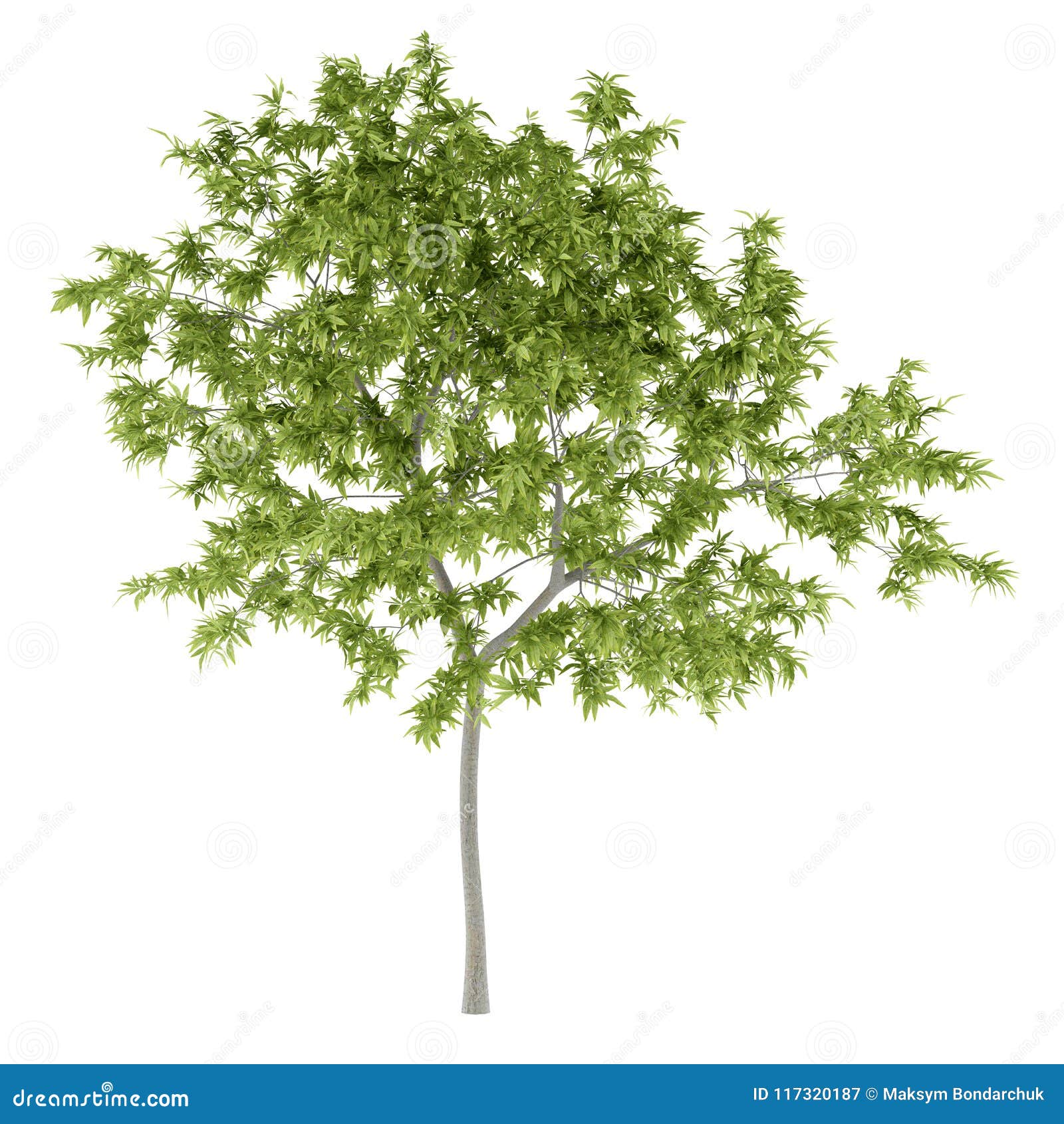 Peach Tree Vector Illustration In Flat Design Isolated On White ...