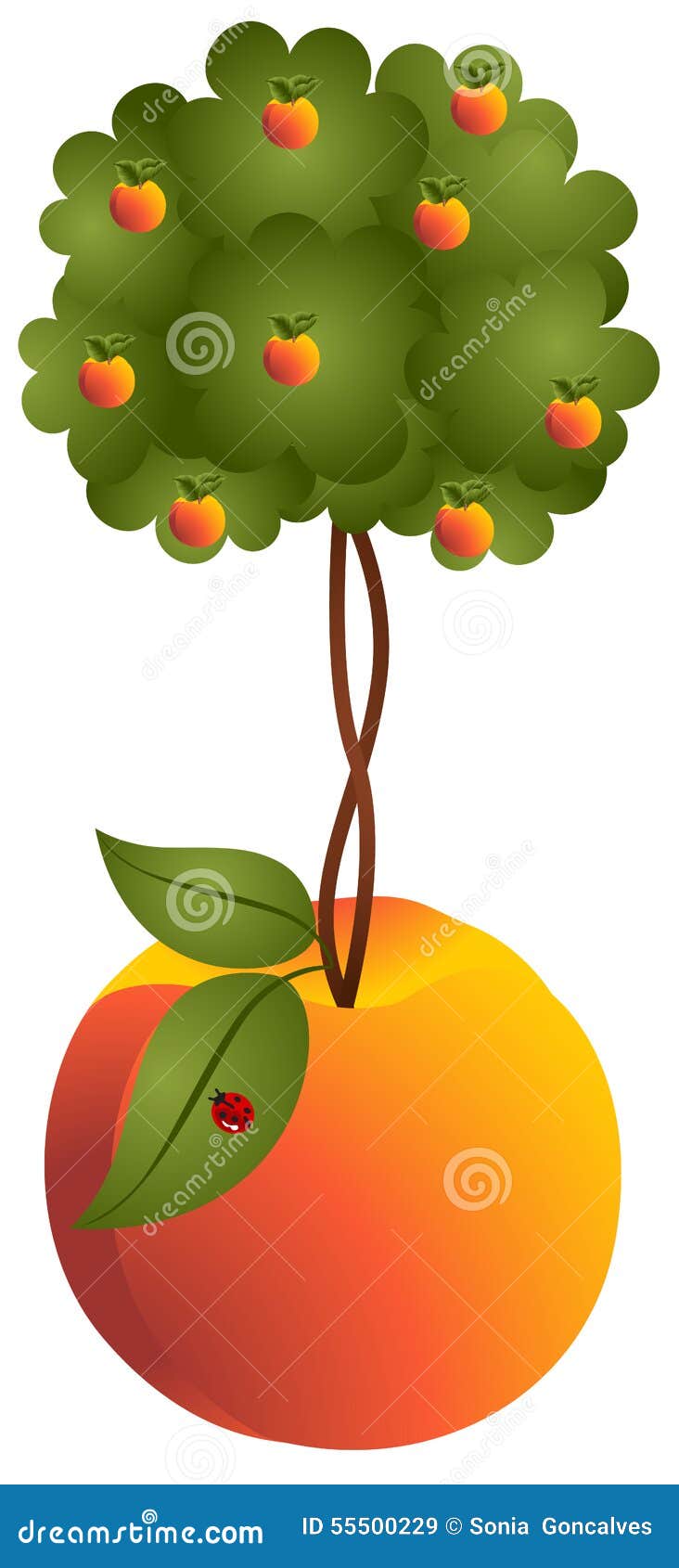 Peach tree in a peach stock vector. Illustration of vector - 55500229