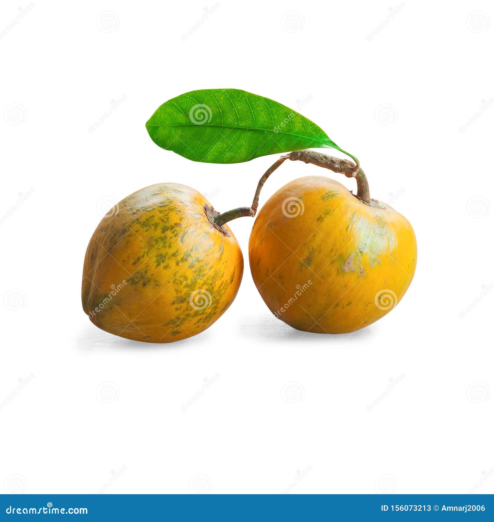 Peach the Tropical Forest Fruit Stock Image - Image of food, group ...