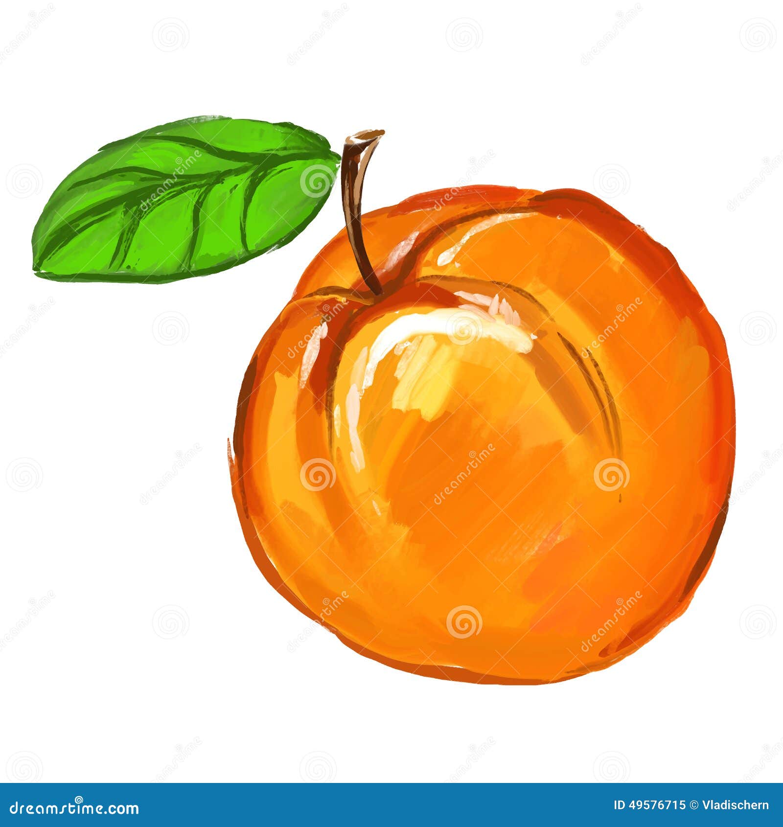 Peach Vector Drawing. Isolated Hand Drawn Peach And Sliced Piece ...
