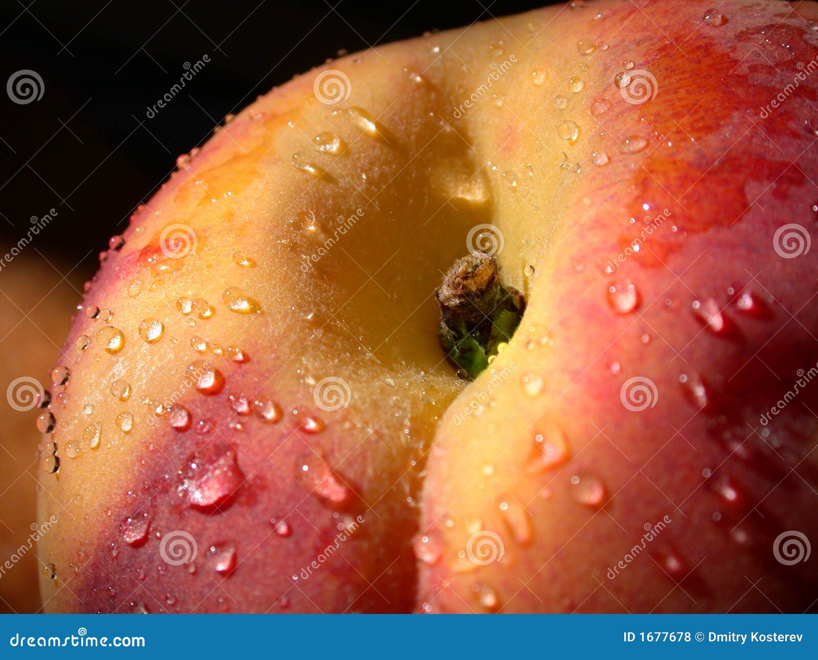 Peache CloseUp stock photo. Image of closeup, georgia - 1677678