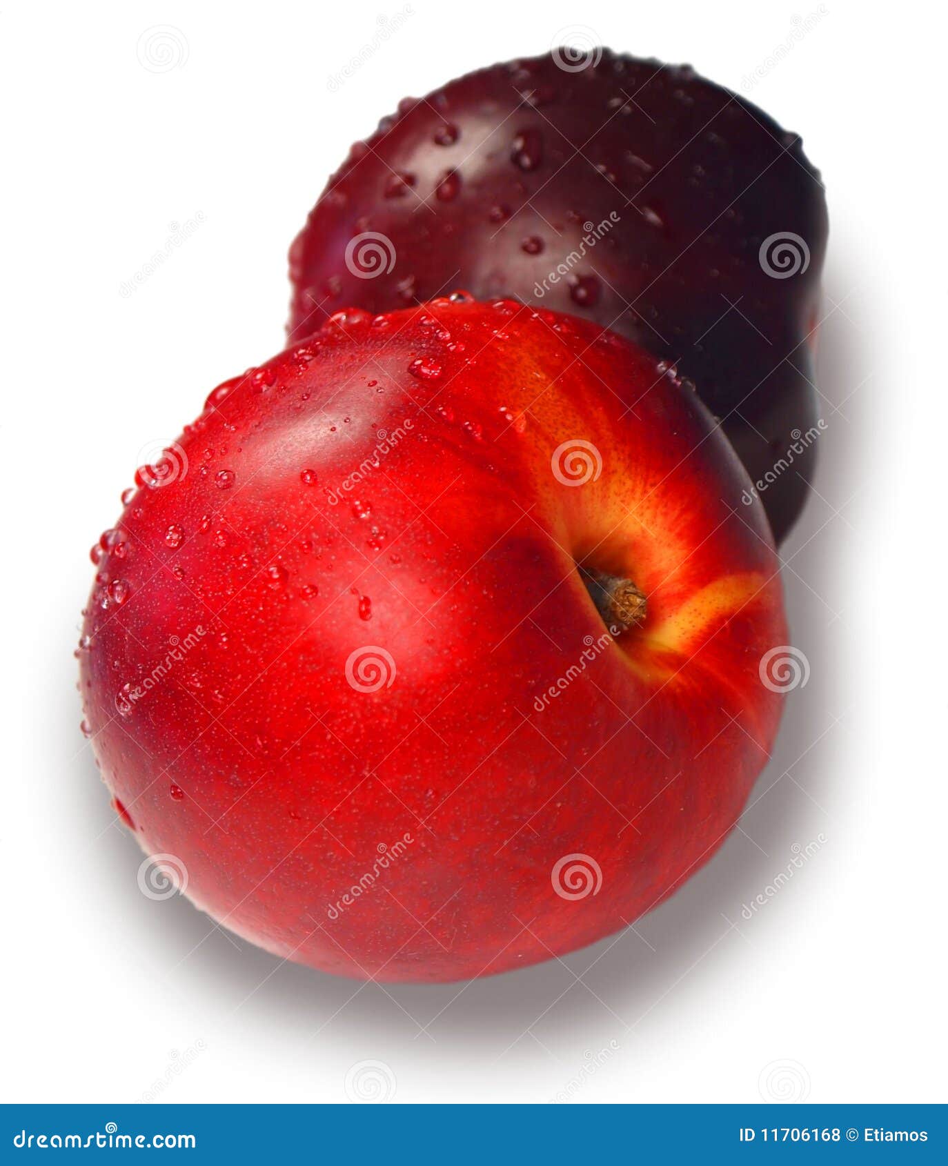 Peaches stock photo. Image of breakfast, colored, colorful - 11706168