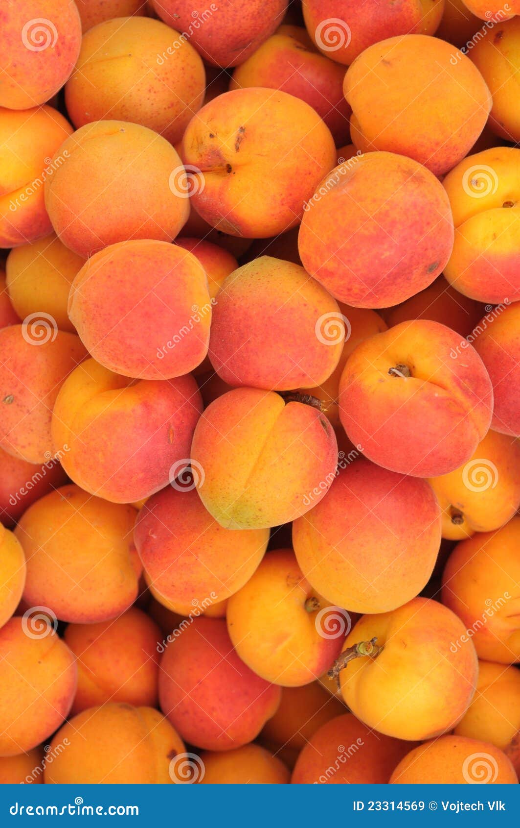 Peaches stock image. Image of agriculture, nectarine - 23314569