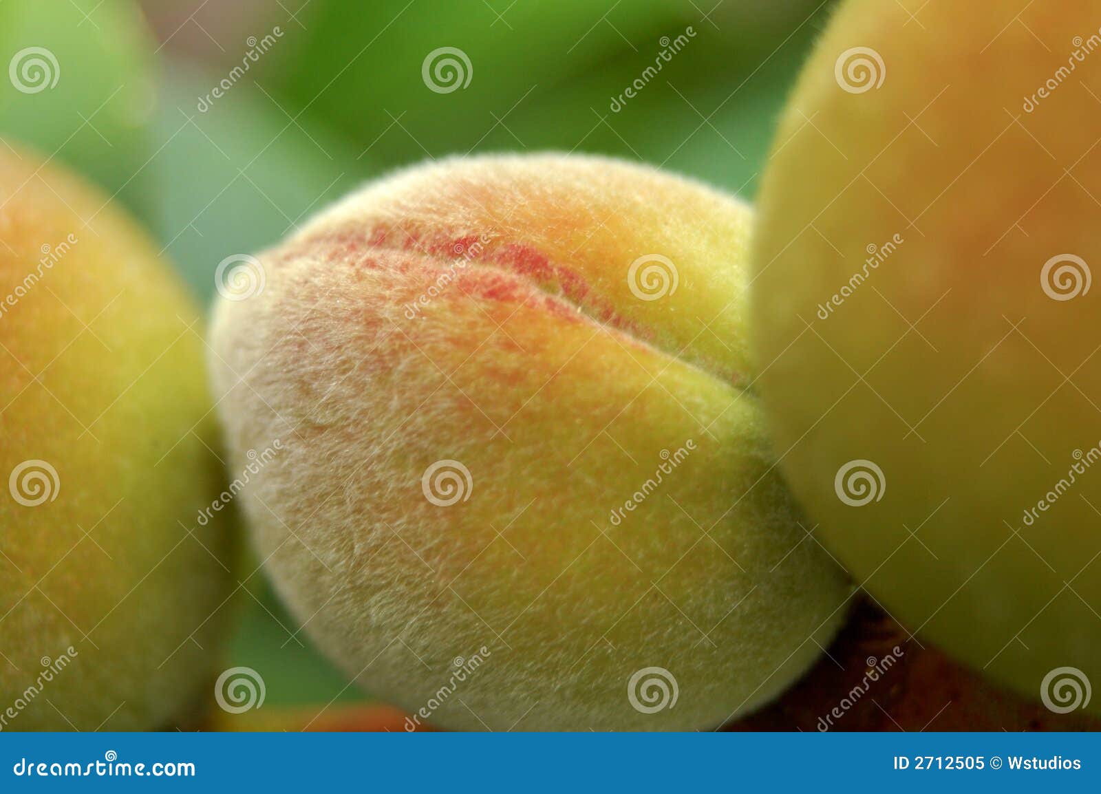 Peaches stock image. Image of fuzzy, outdoors, momo, grocery - 2712505