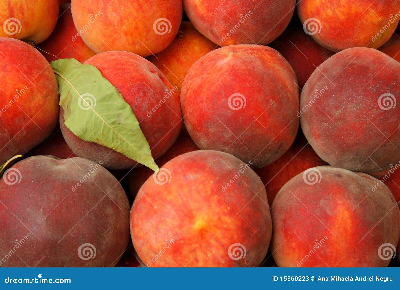 Peaches background stock image. Image of calories, garden - 15360223