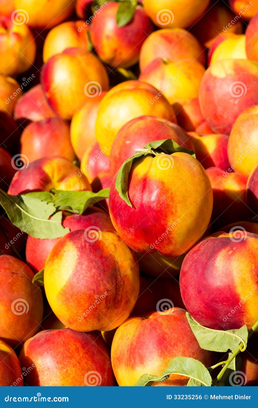 Peaches Background stock photo. Image of frame, drink - 33235256