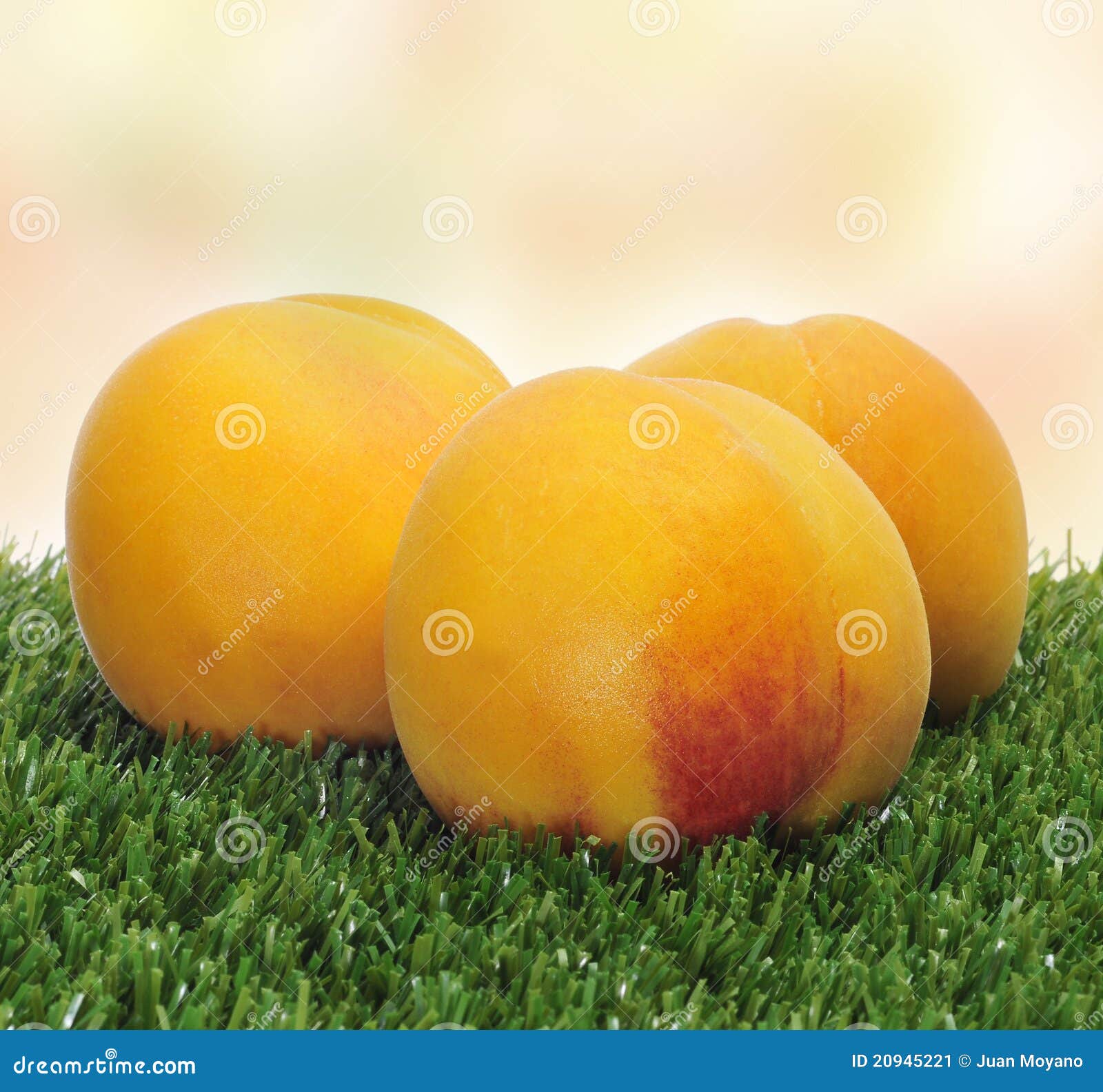 Peaches on the grass stock image. Image of organic, diet - 20945221