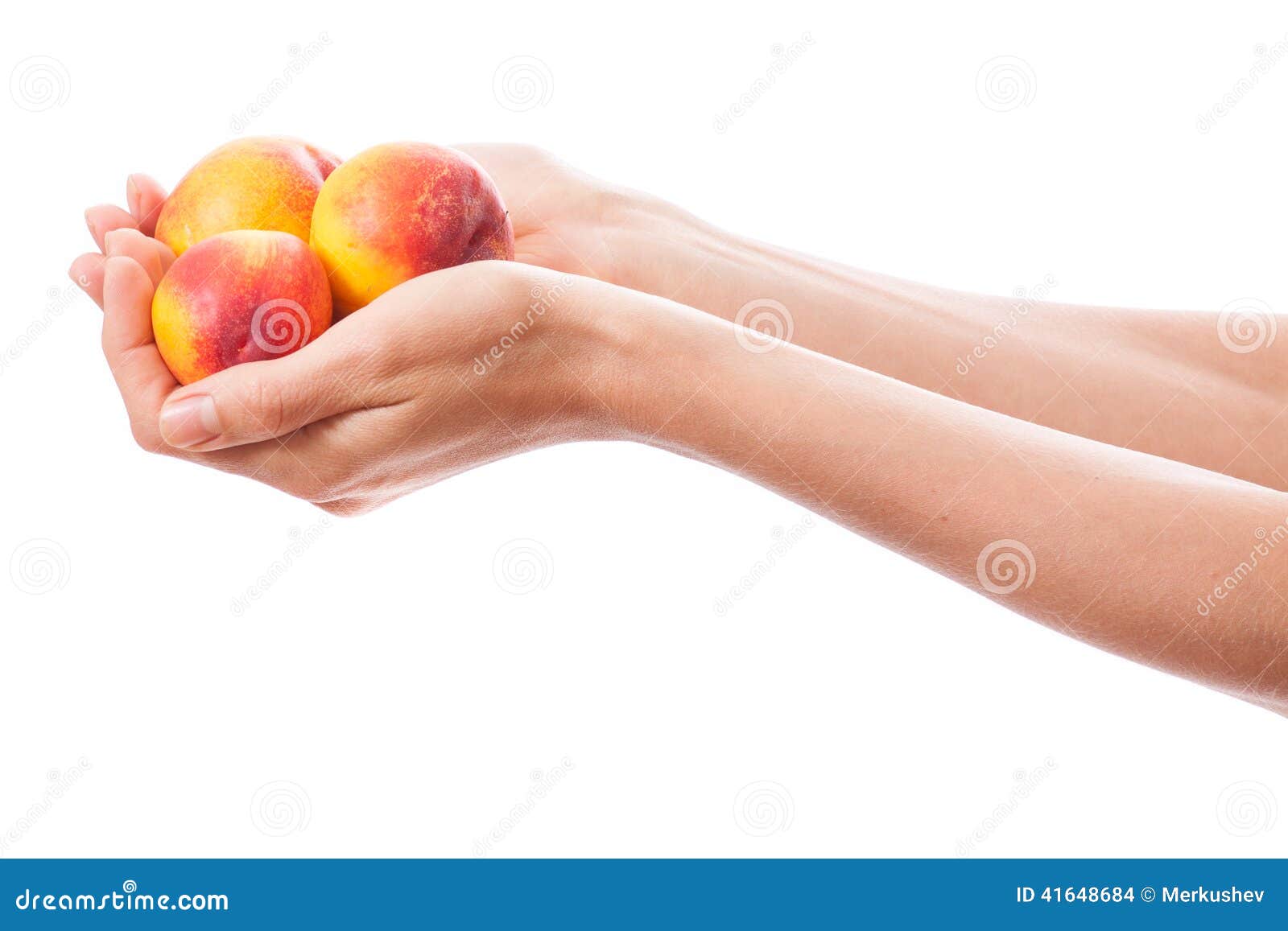 Peaches in Hand, Isolated on White Stock Photo - Image of natural, skin ...