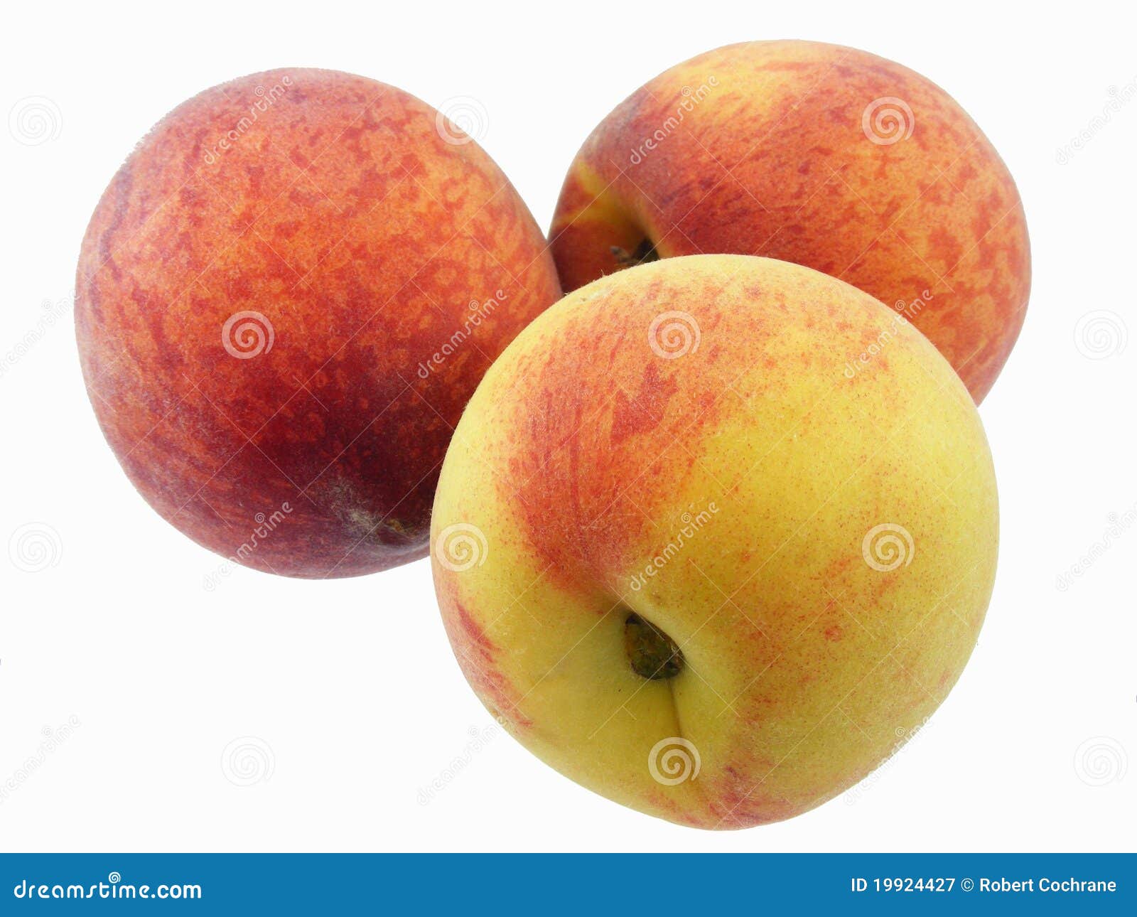 Peaches Isolated stock image. Image of delicious, peach - 19924427