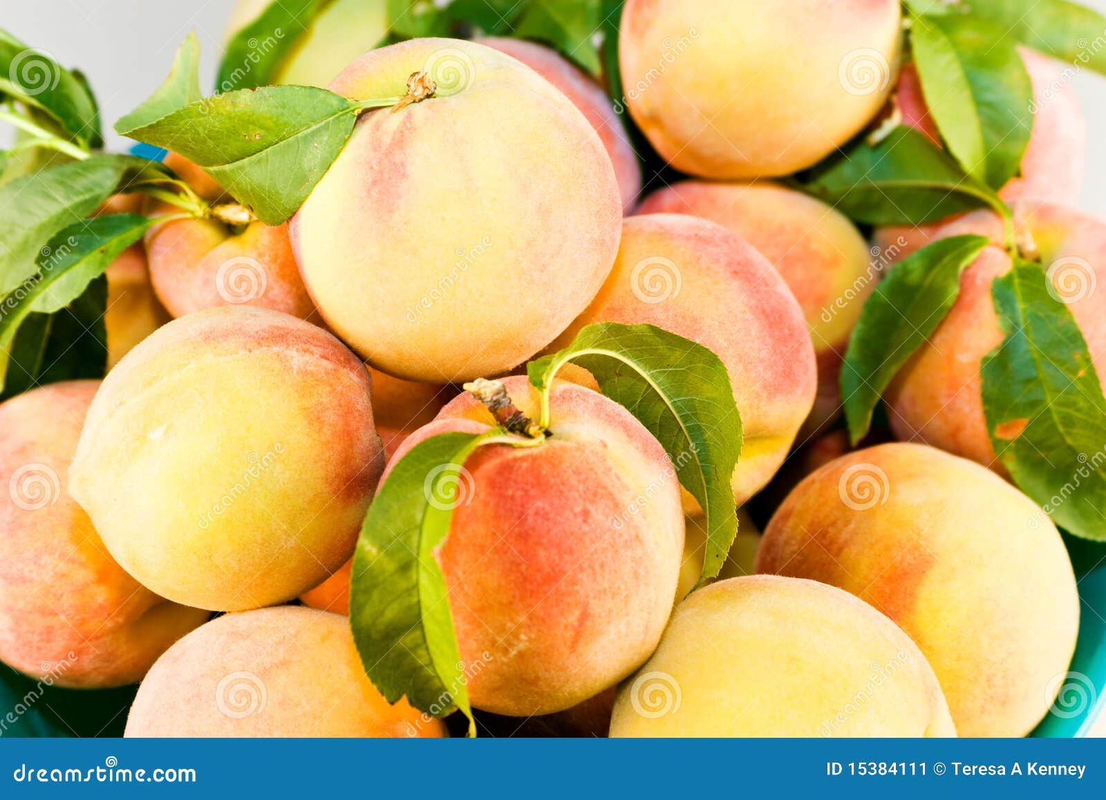 Peaches on Table stock image. Image of peach, fuzz, gray - 15384111