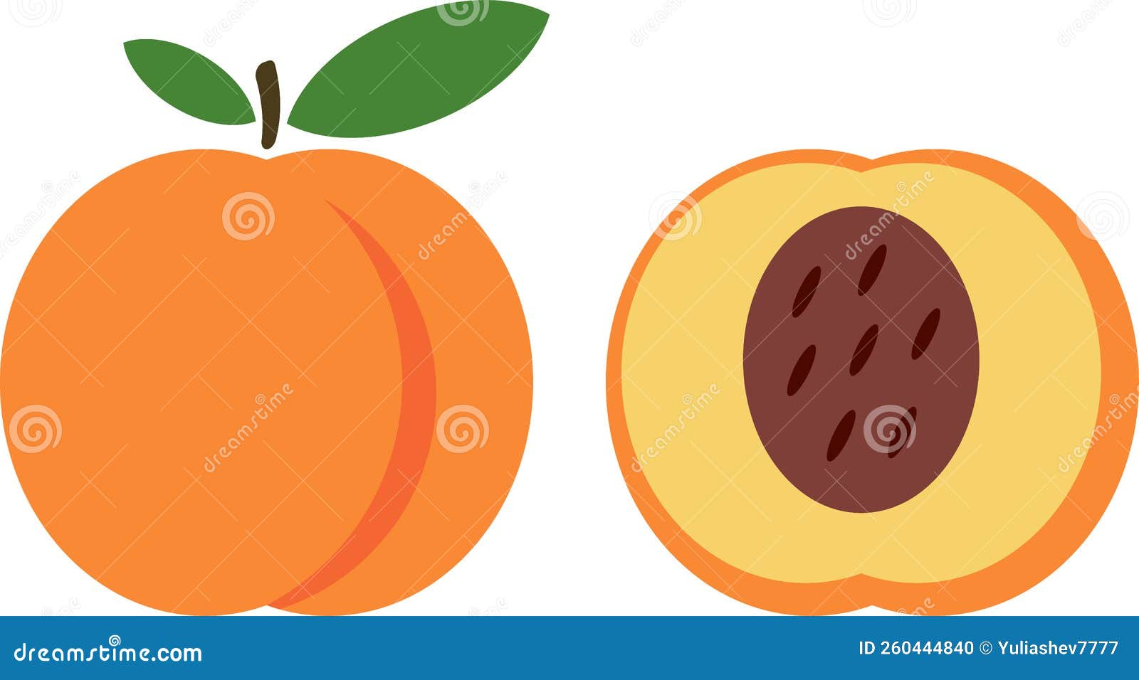 Peaches Vector Illustration Isolated On White Background. Juicy ...