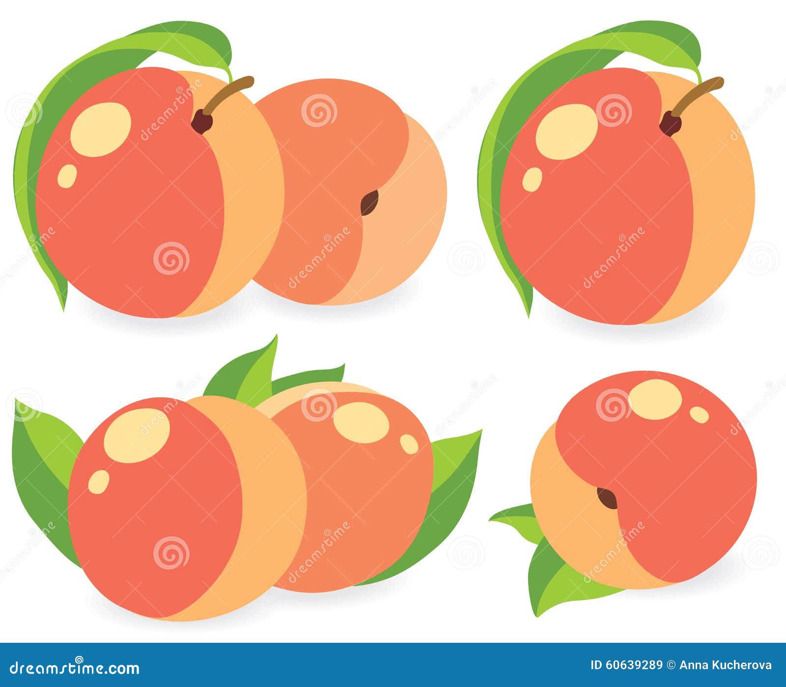 Peaches Vector Illustration Stock Vector - Illustration of collection ...