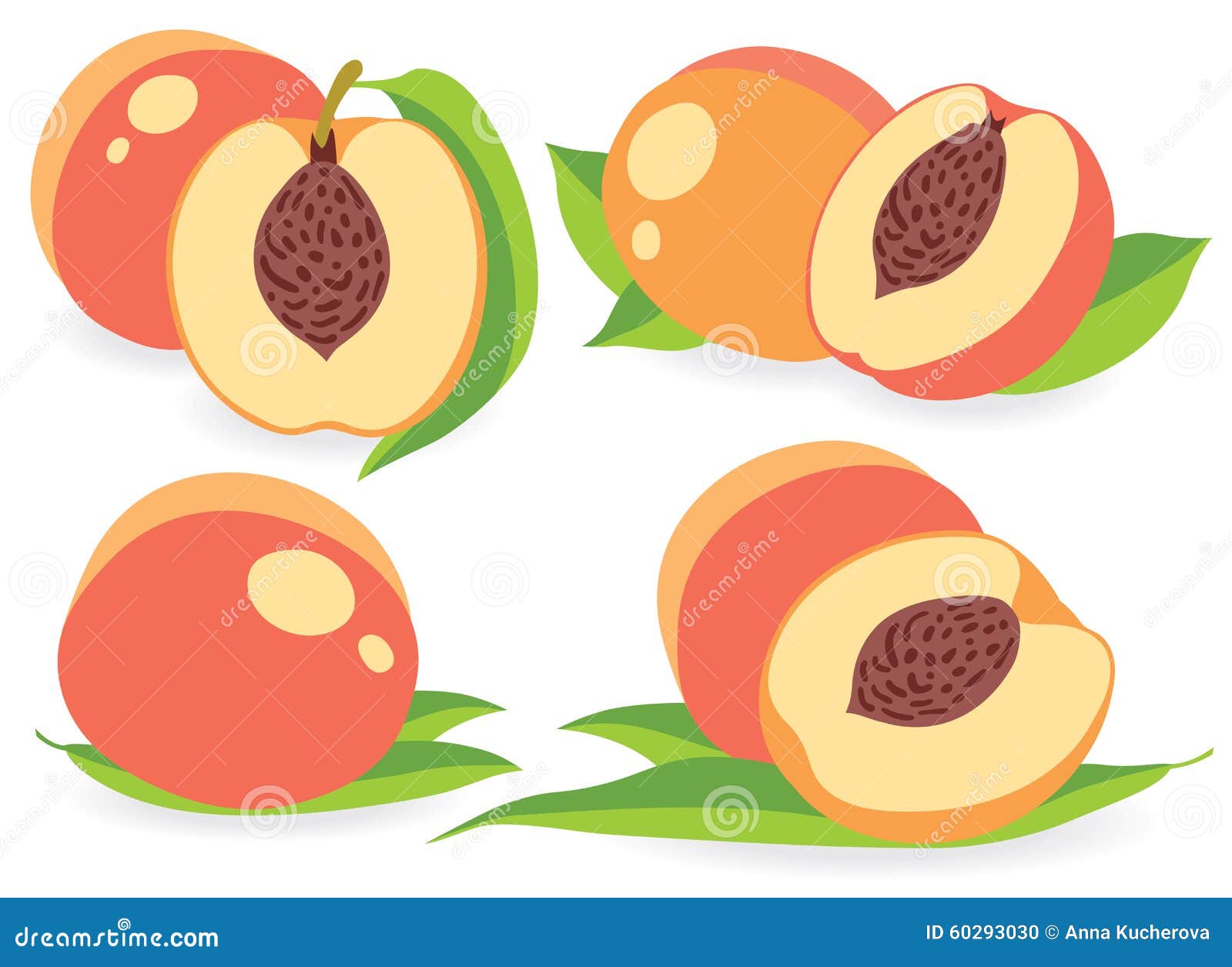 Peaches Vector Illustration Isolated On White Background. Juicy ...