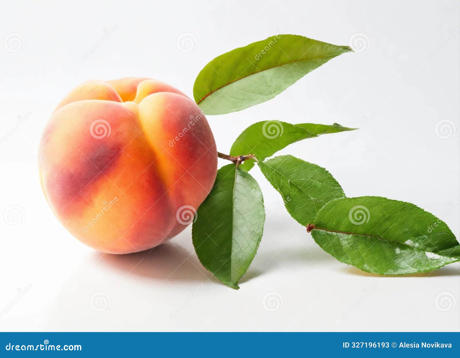 Peaches on a White Background Stock Illustration - Illustration of ...